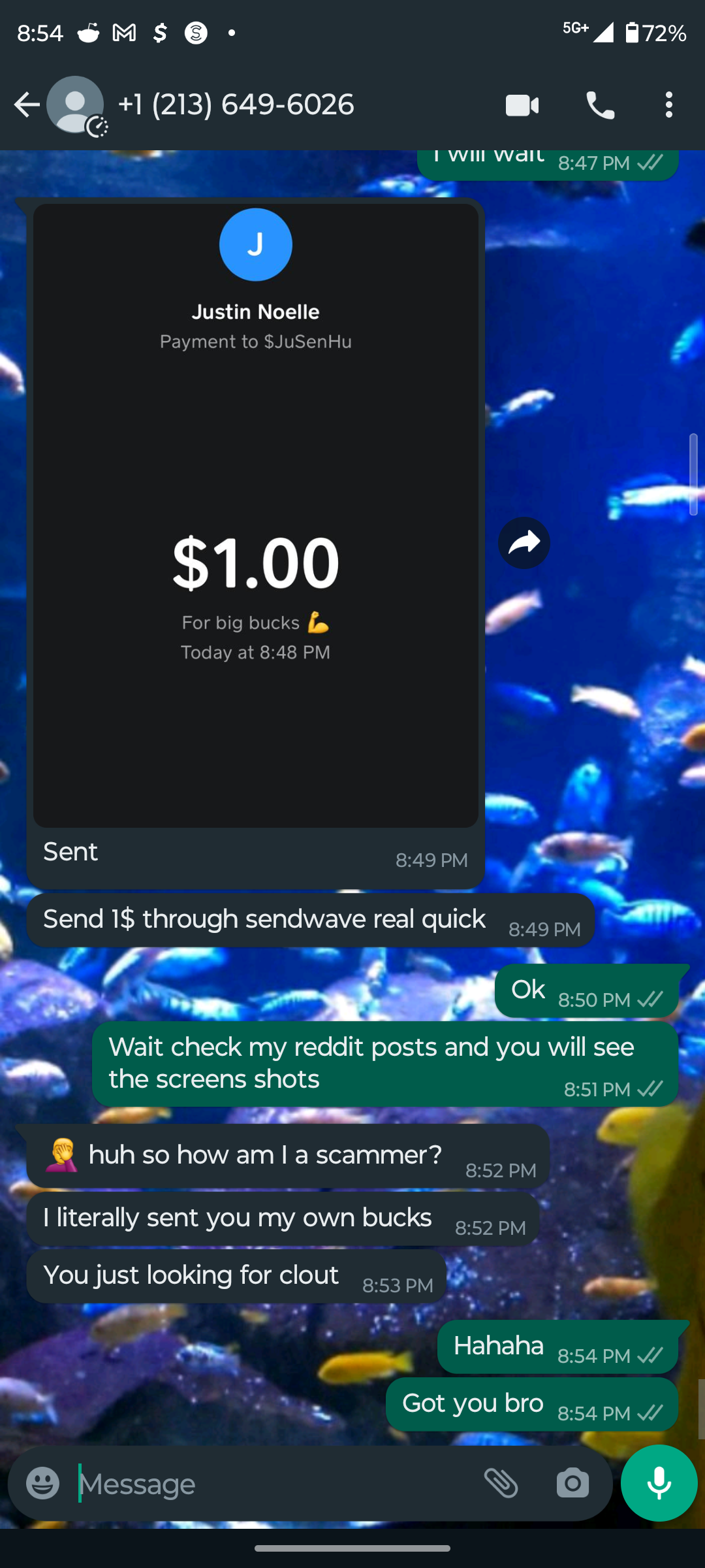 Scammer Responded | Scrolller