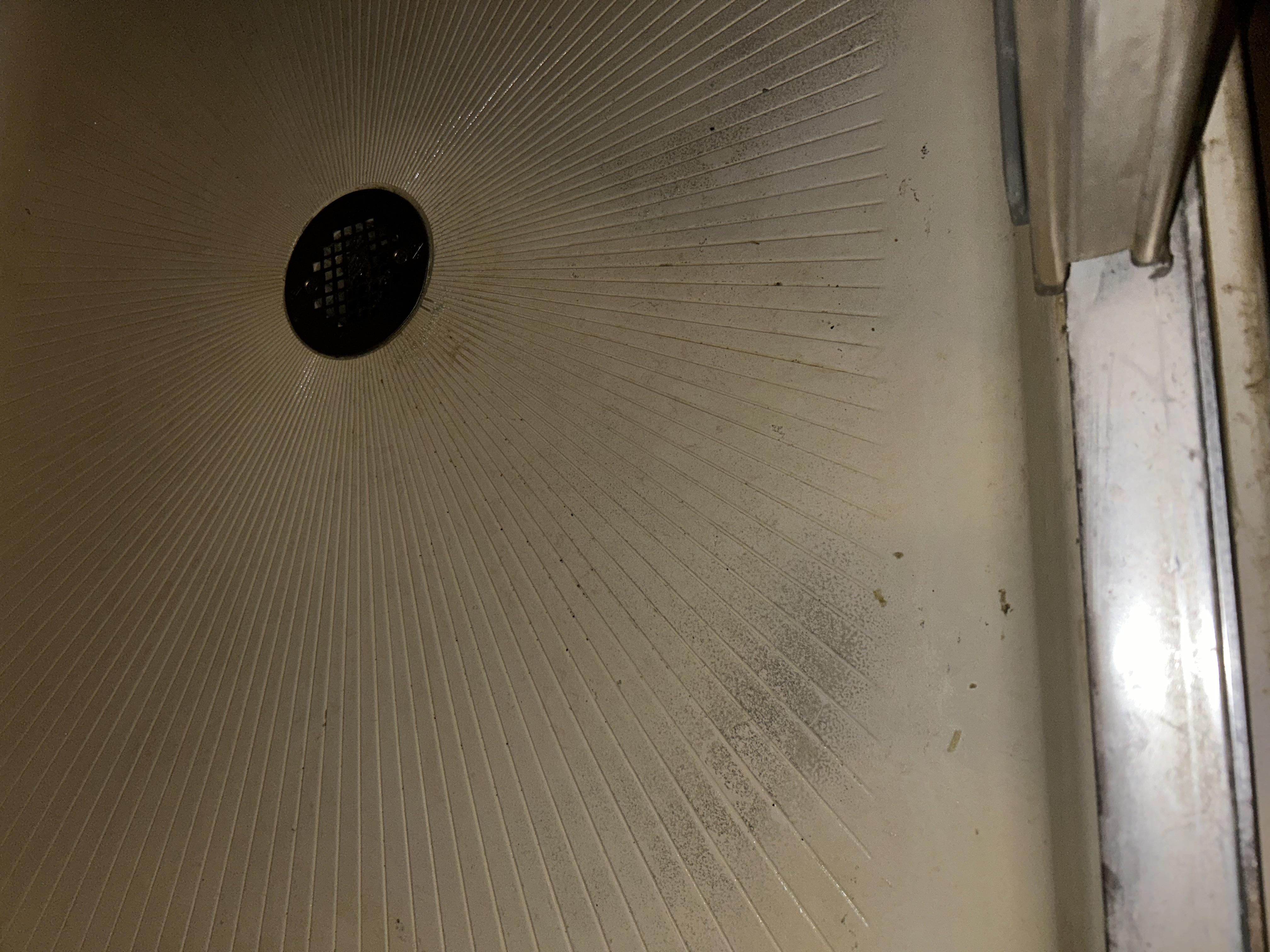 Is this mold ? | Scrolller