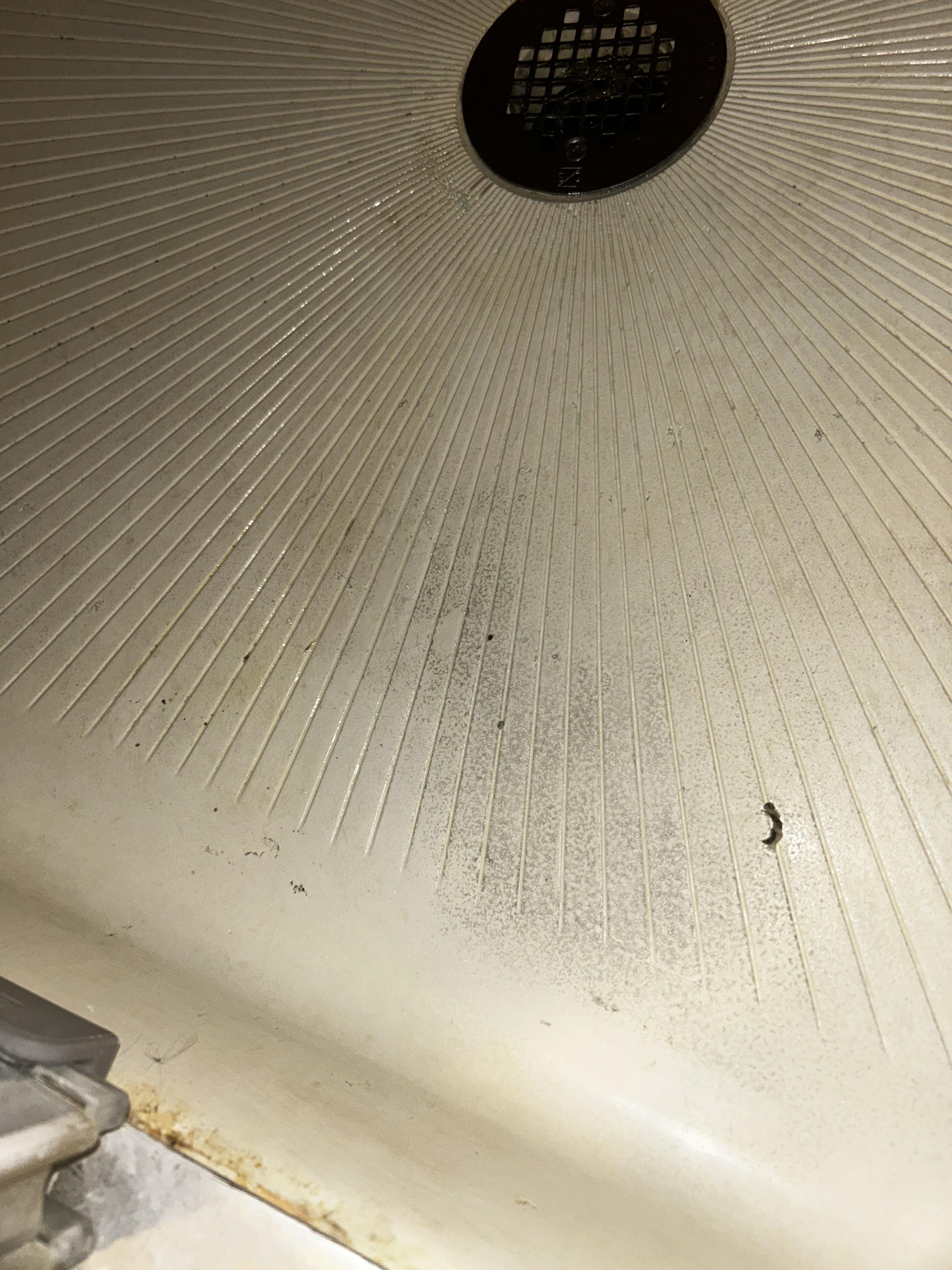 Is this mold ? | Scrolller