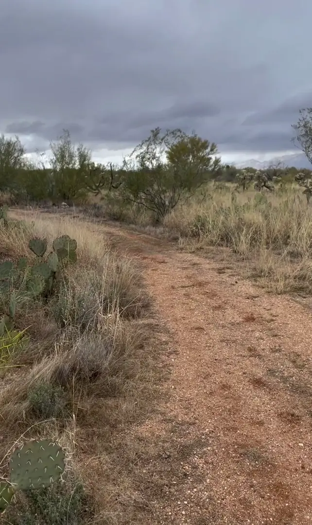 Pure joy. | Scrolller