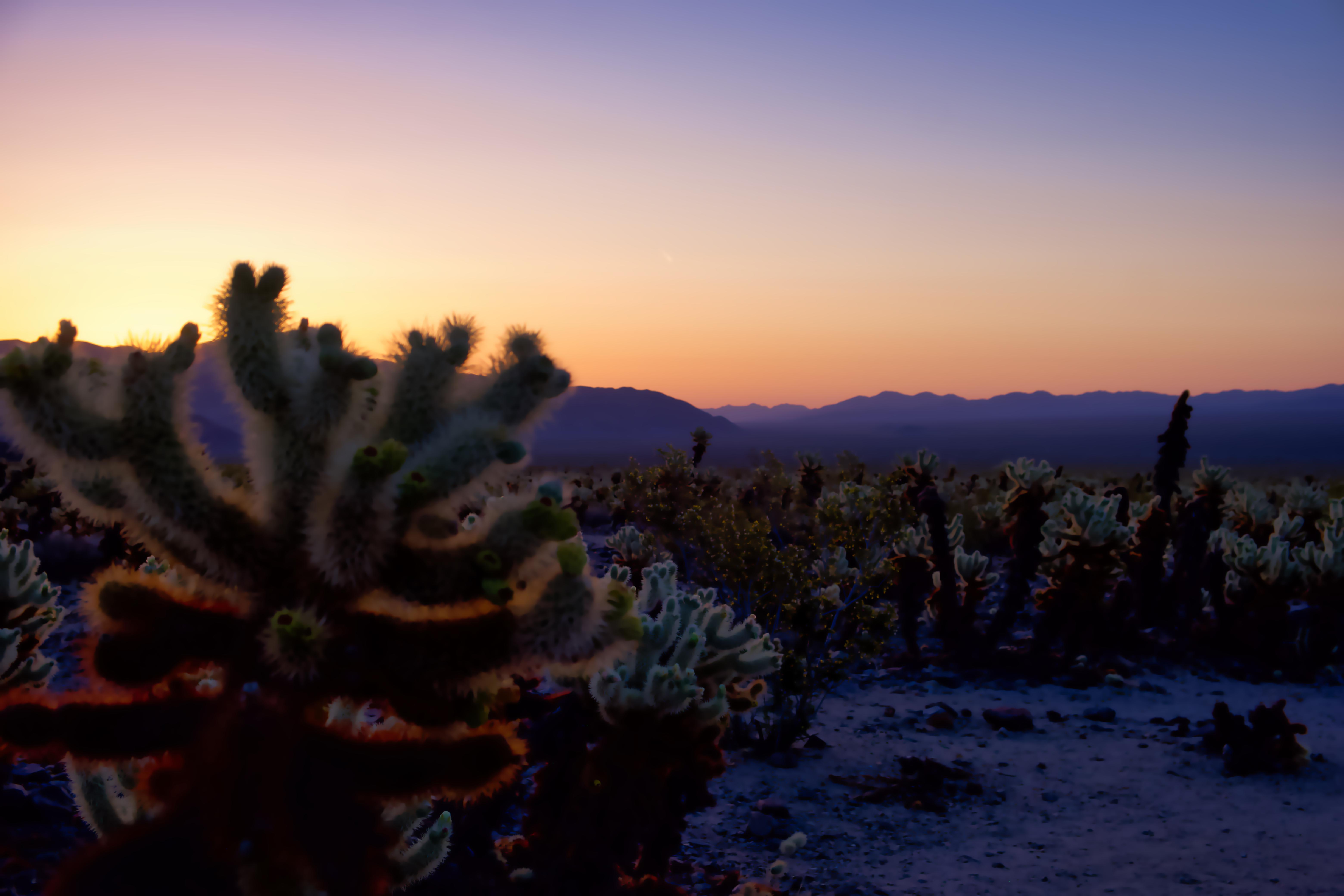 Purple Mountain Majesty | Scrolller