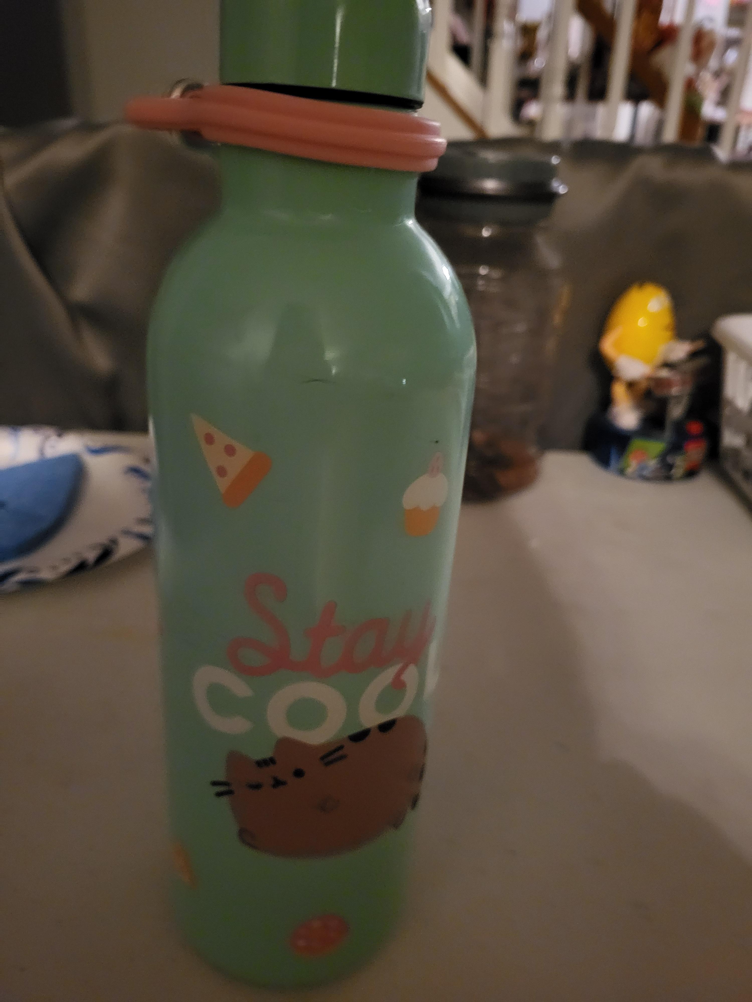 Pusheen Water Bottle | Scrolller