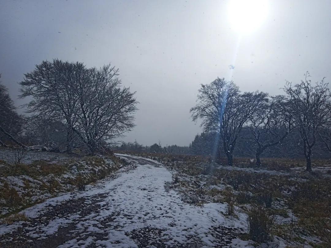 Snowy walks ☺️ | Scrolller