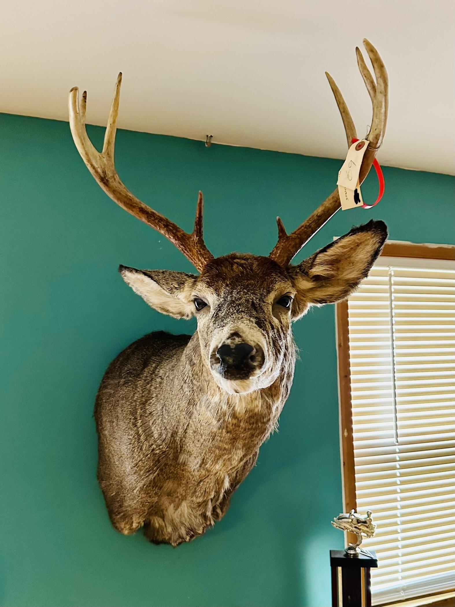 Discover more like Hunting: 2022 buck and Related Content | Scrolller