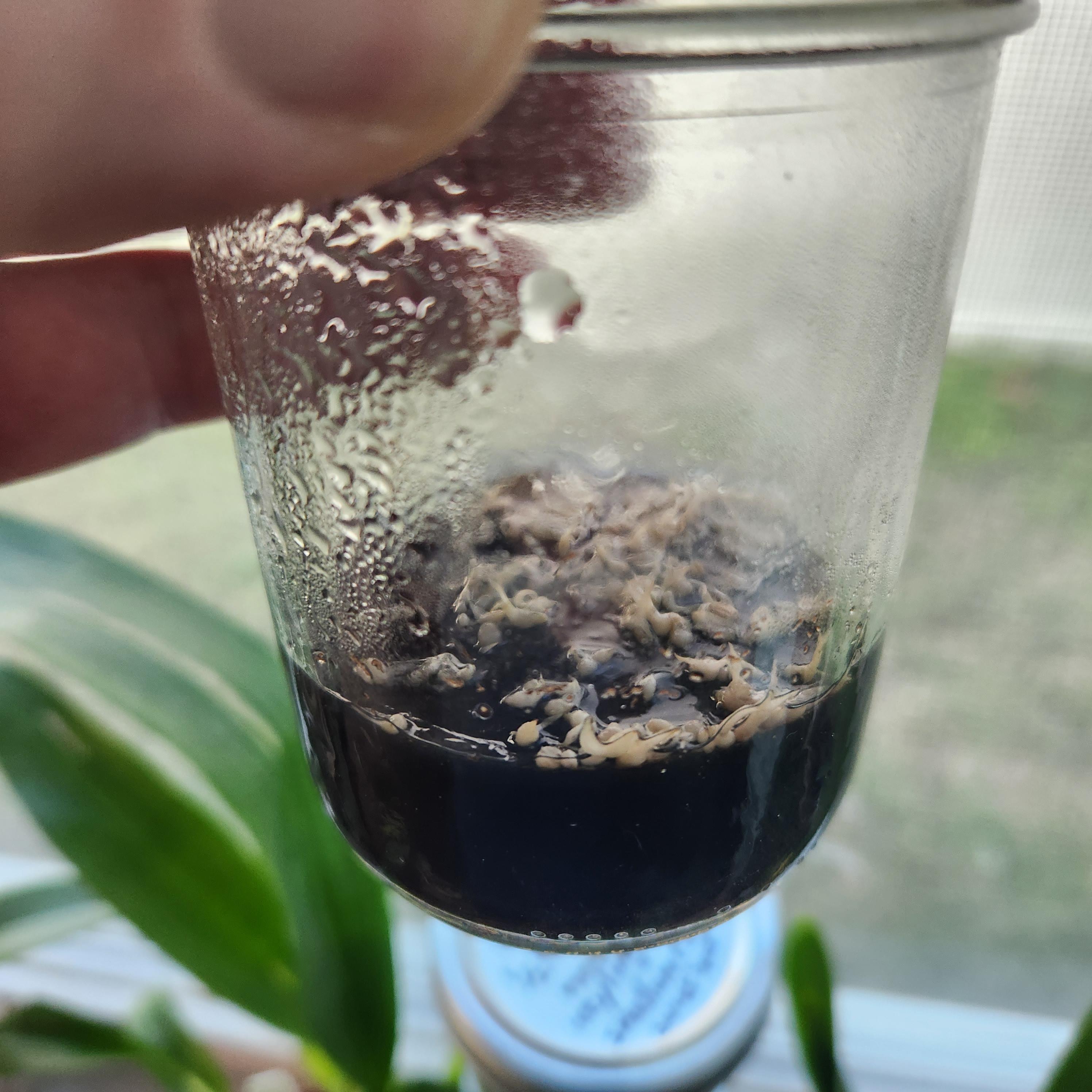 Bad luck? | Scrolller