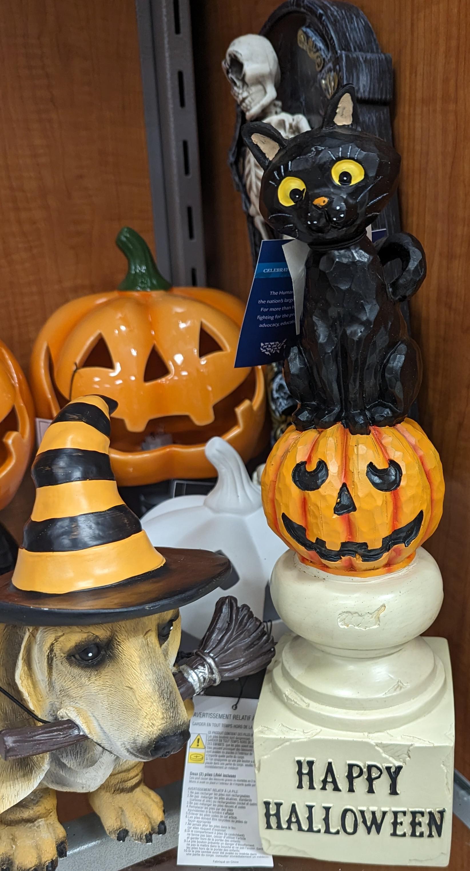 Halloween kitties at TJ Maxx | Scrolller