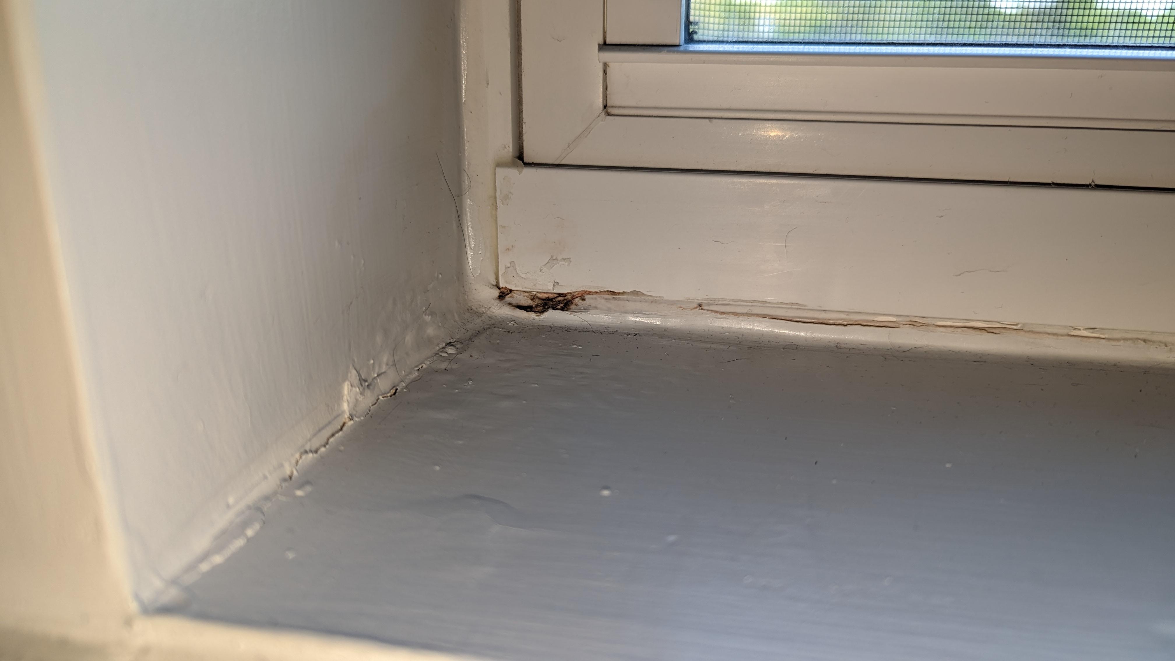 Window Sealant Water Damage | Scrolller