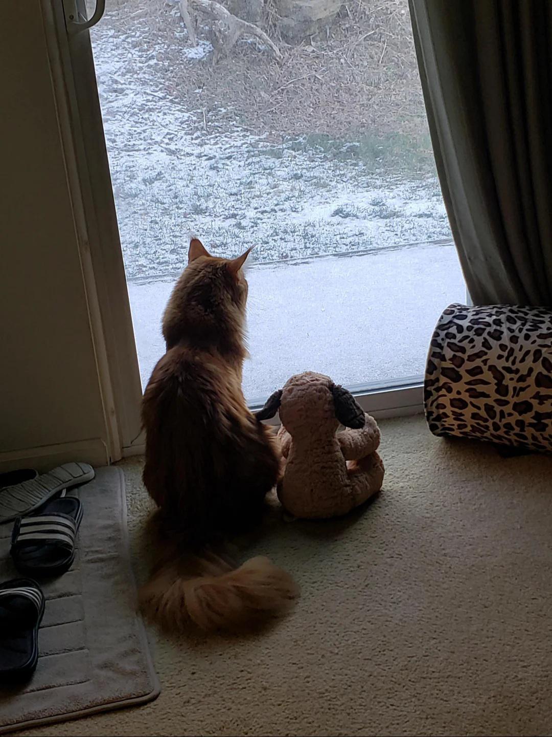 Rocky then and now :) | Scrolller