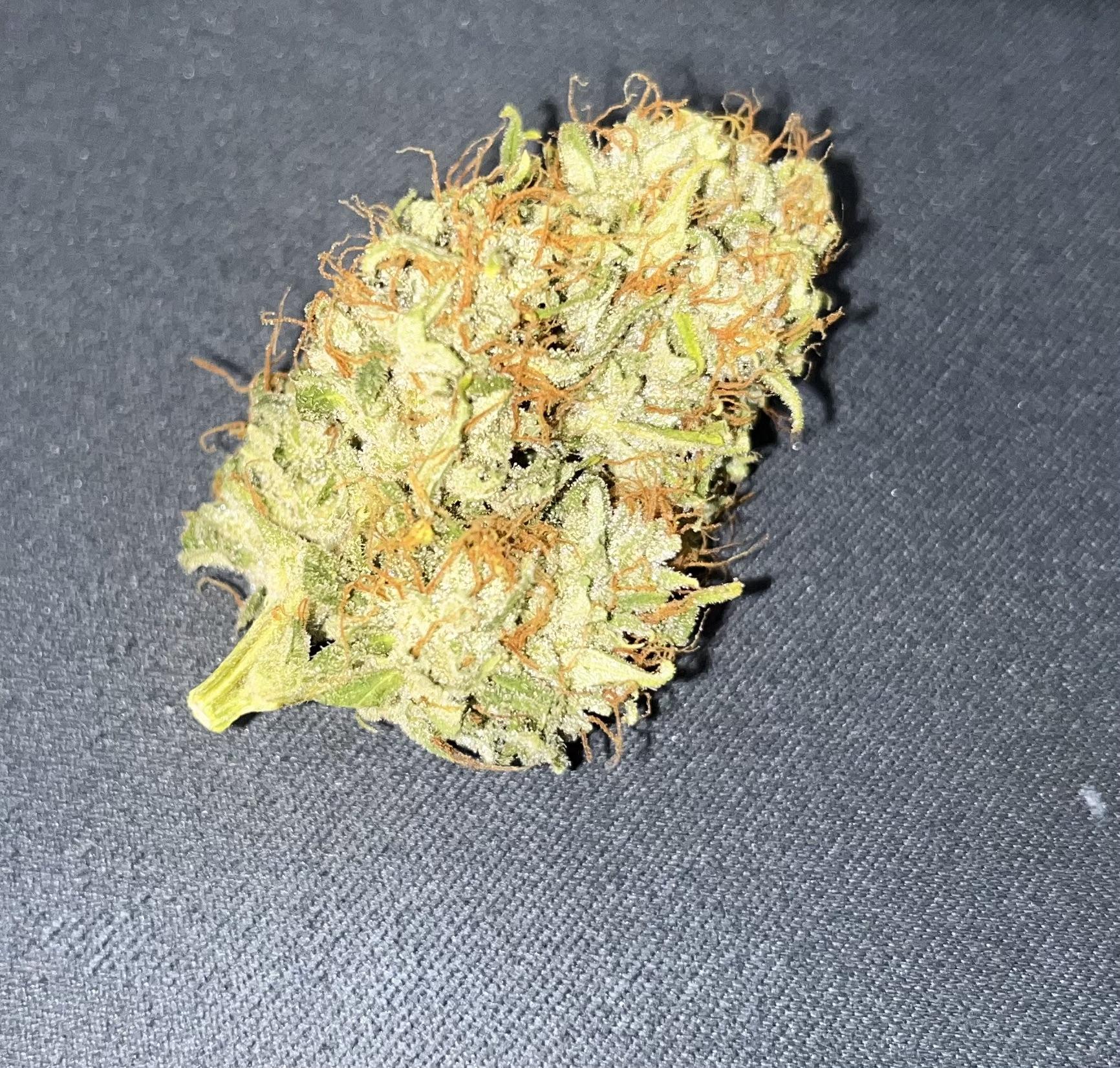 Is it Mold? | Scrolller