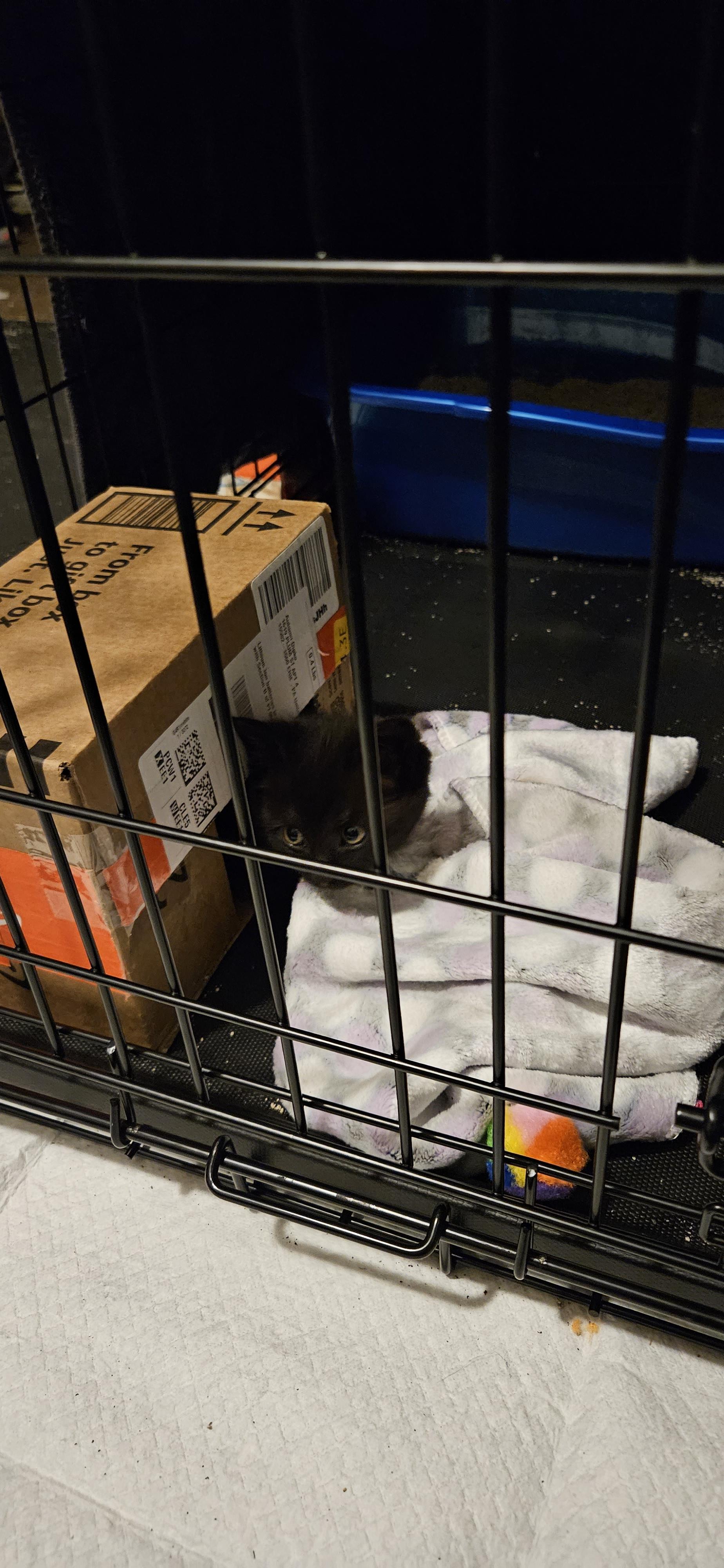 Illegally Smol Void | Scrolller