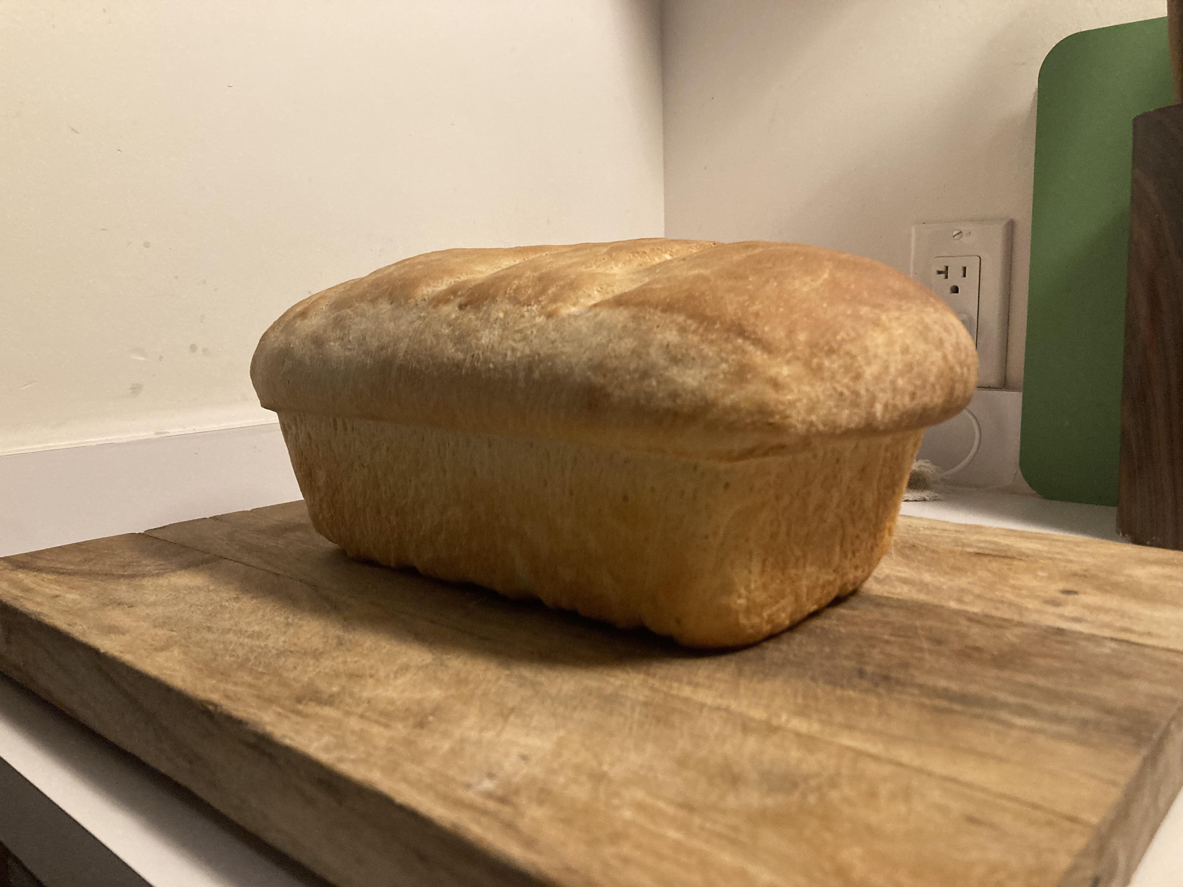 Discover more like Breadit: First Ever Loaf and Related Content | Scrolller