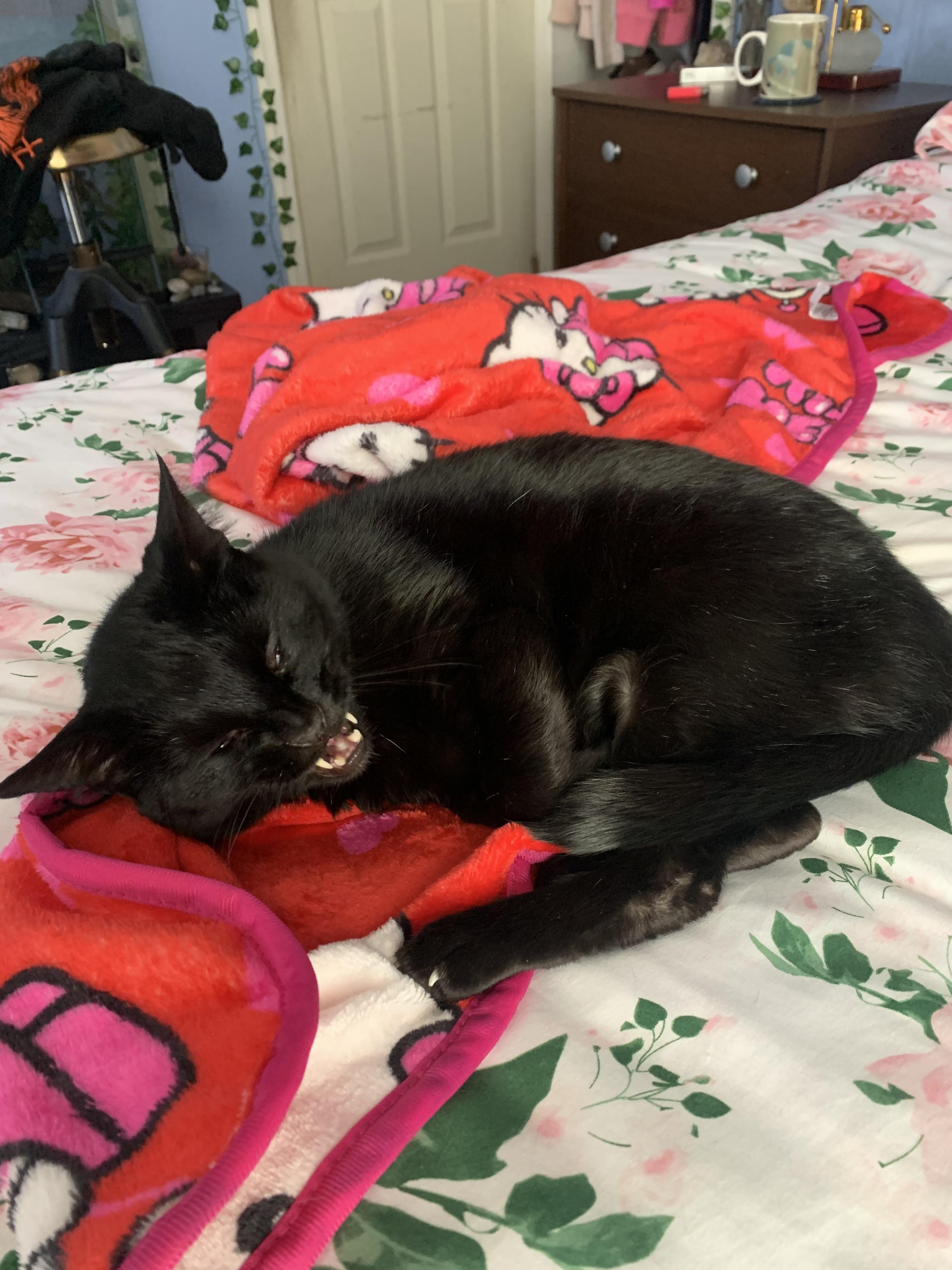 Void yawning | Scrolller