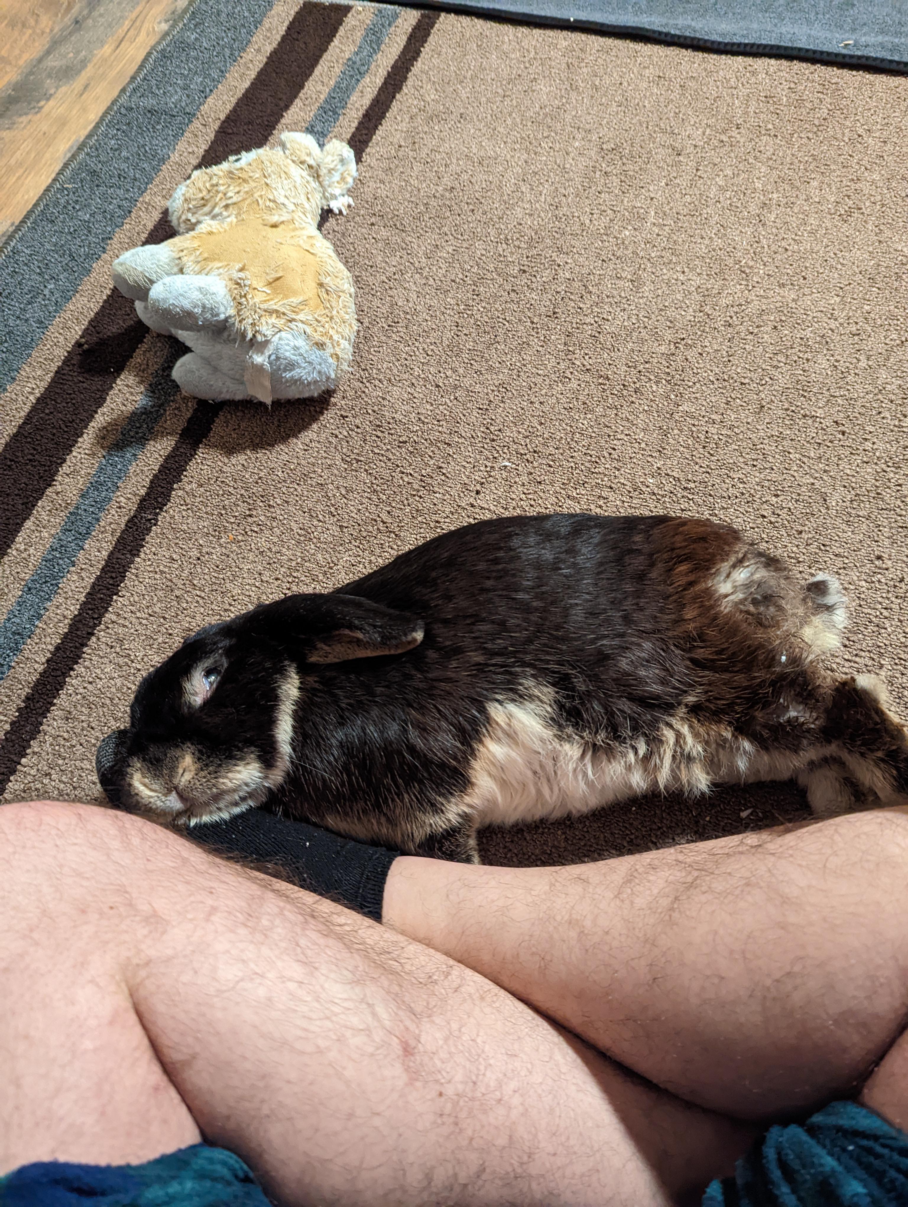 Lounge time! | Scrolller