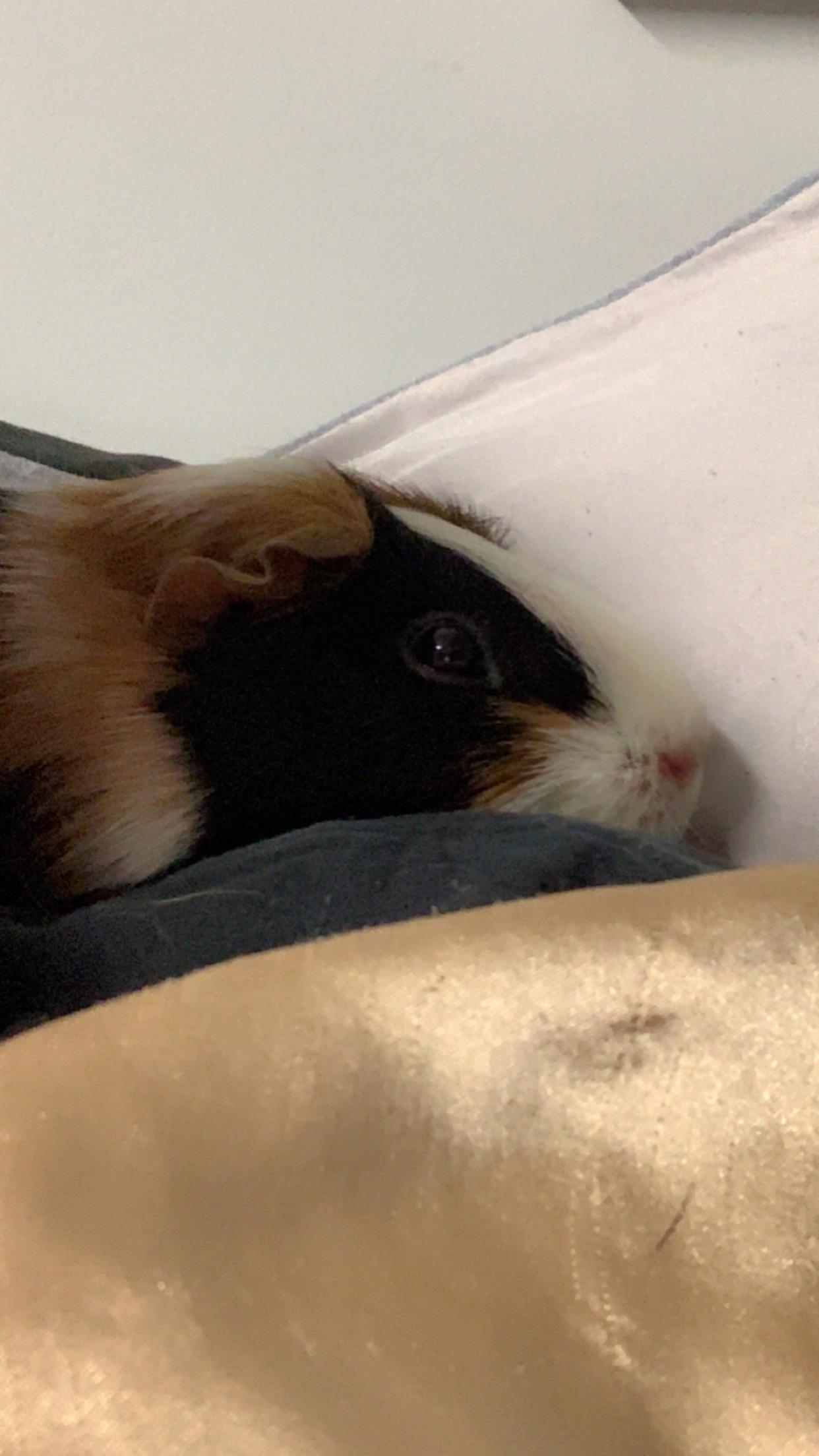 Mika Appreciation post | Scrolller