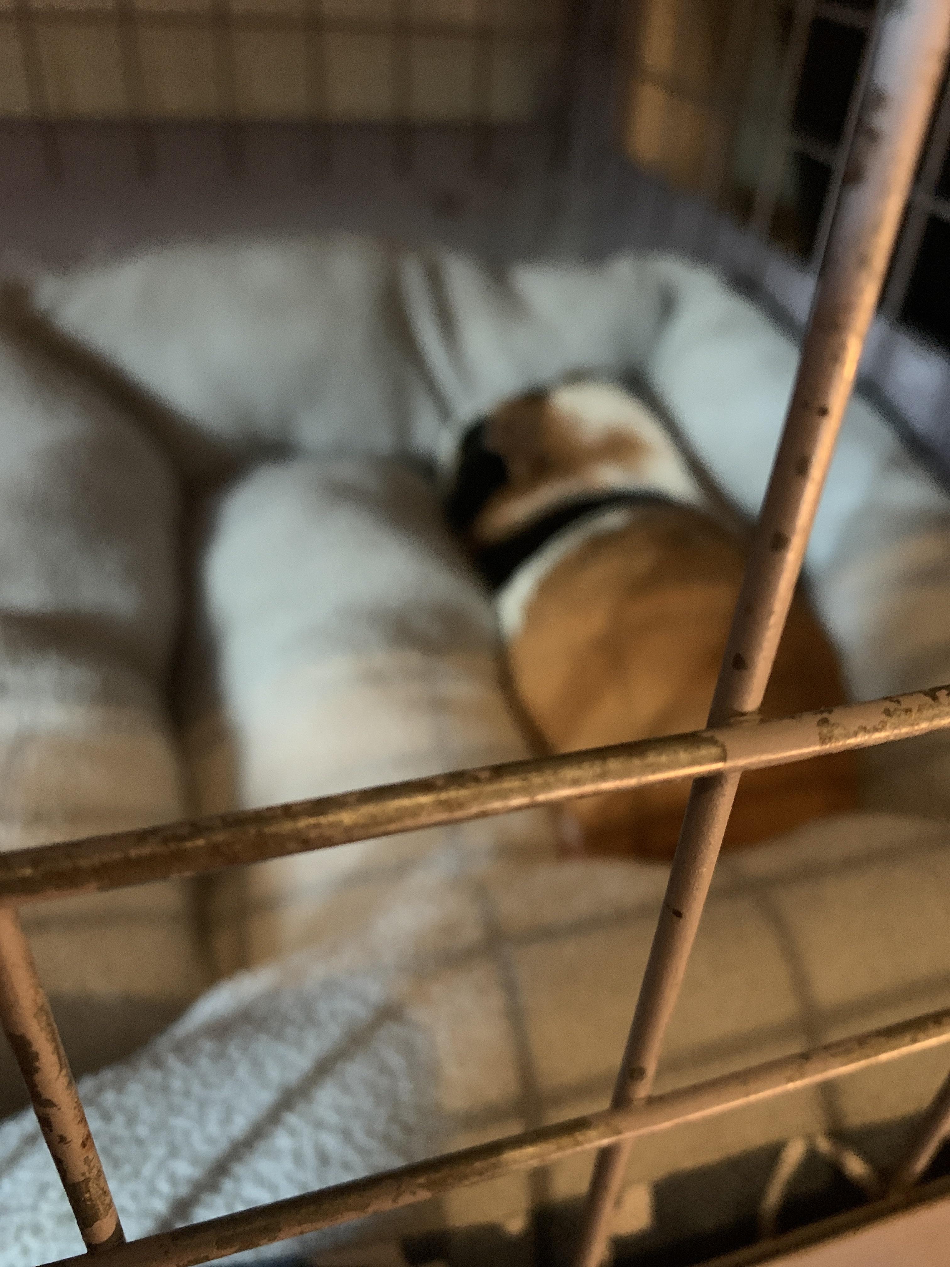 Mika Appreciation post | Scrolller