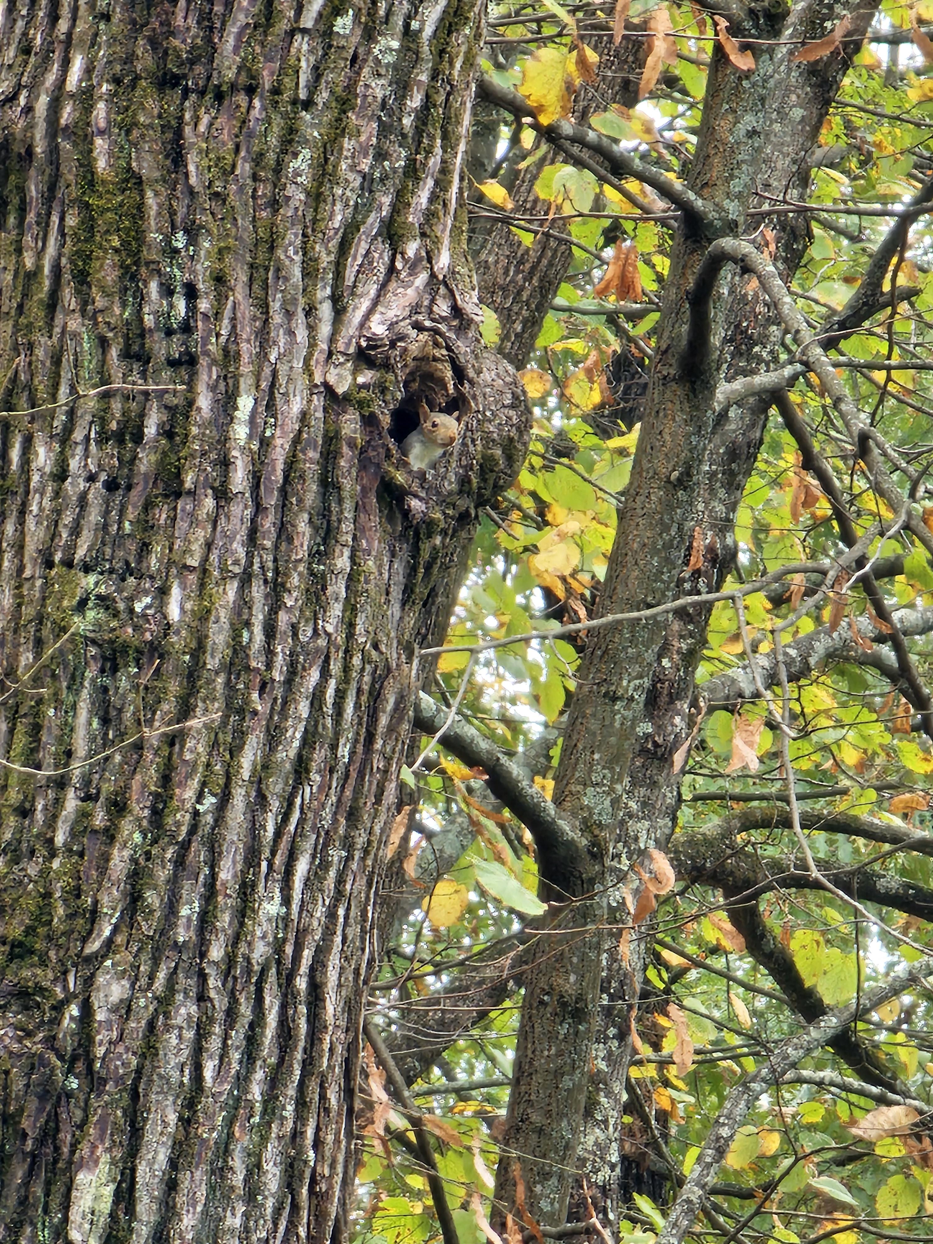 Cuteness overload | Scrolller