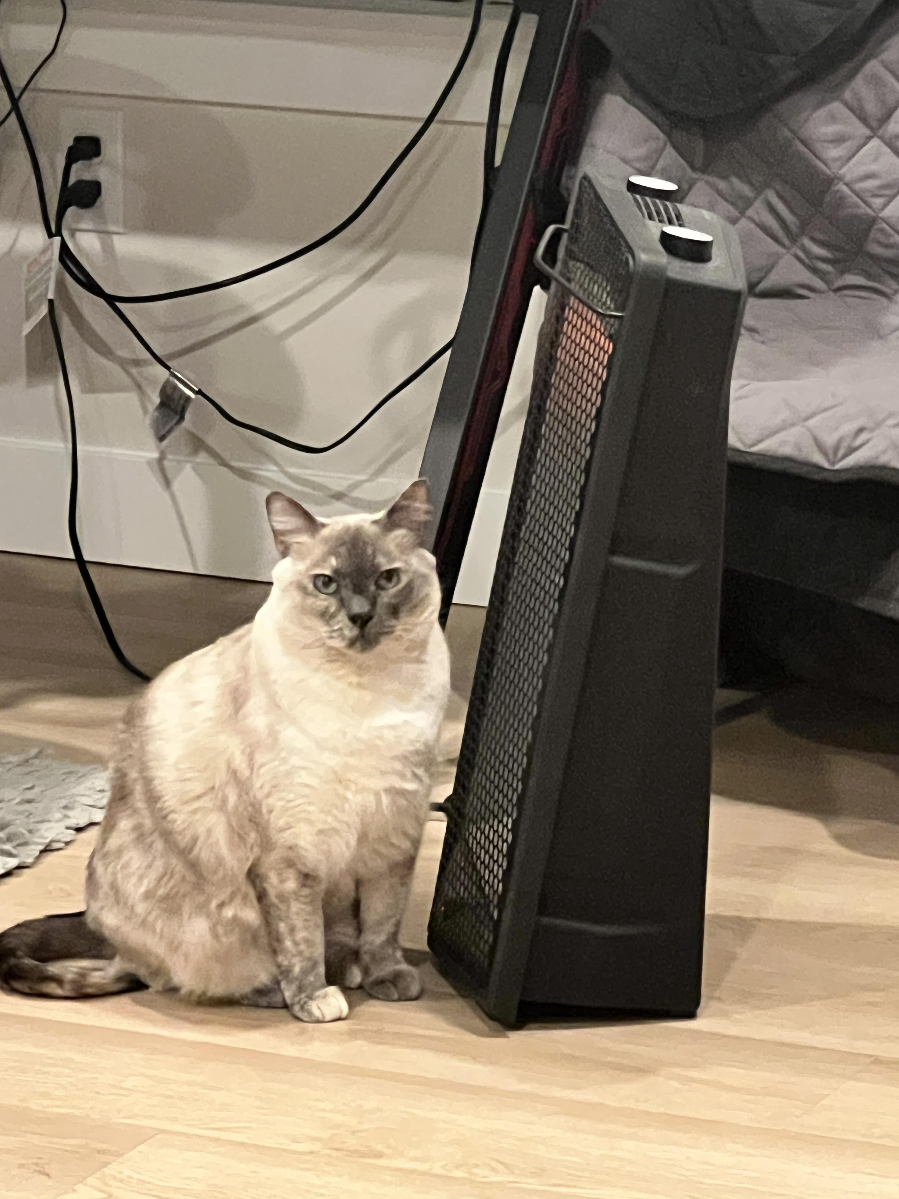 She loves her personal heater | Scrolller