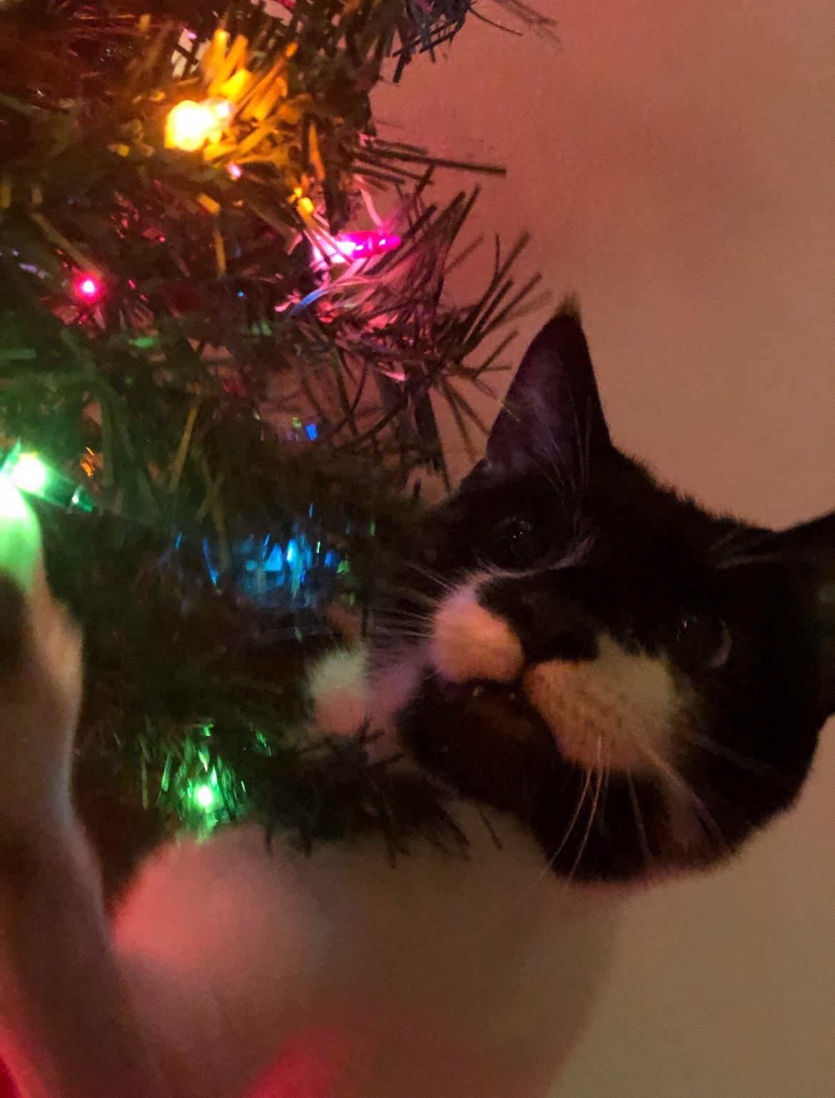 Throwback! | Scrolller