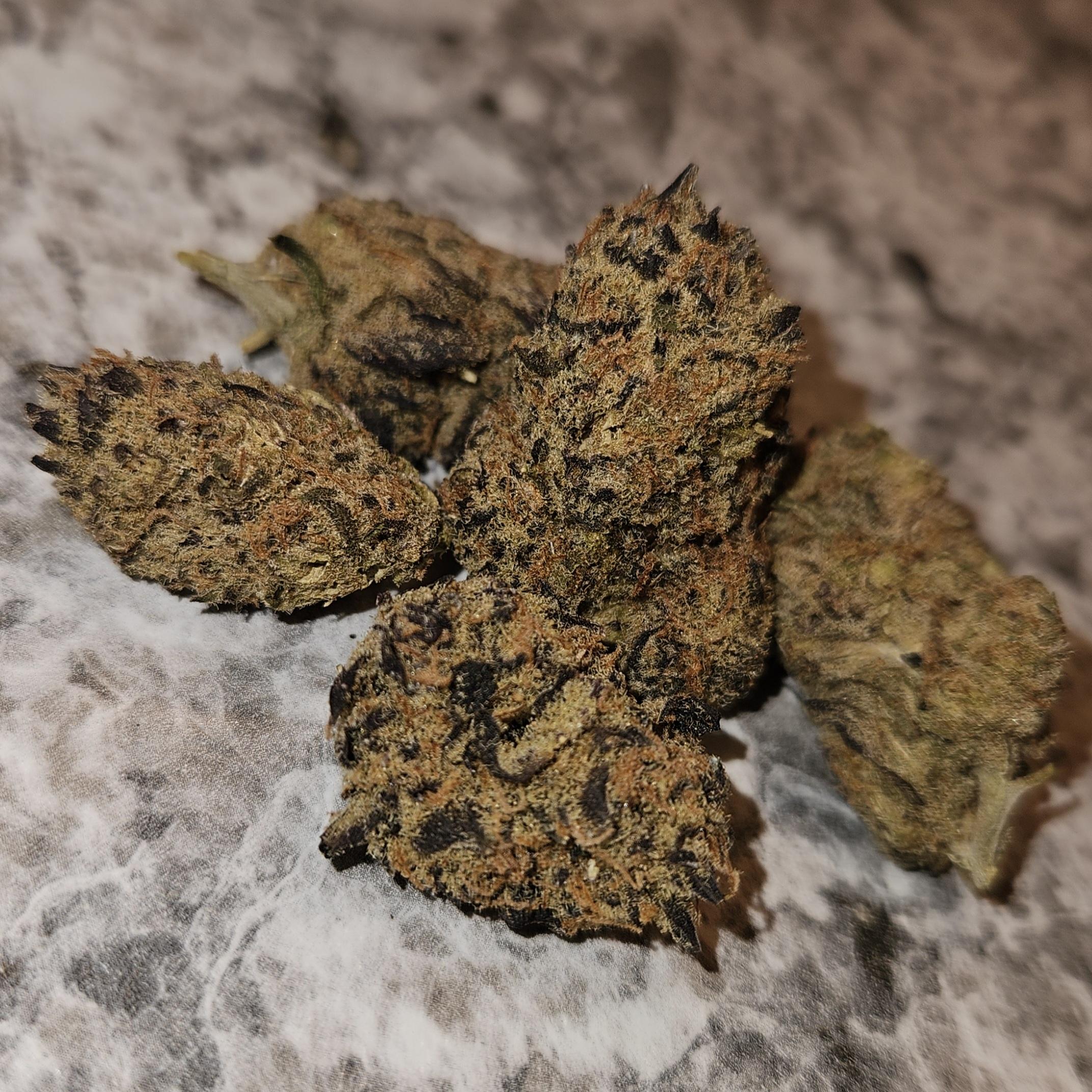 Cactus Breath 🌵 | Scrolller