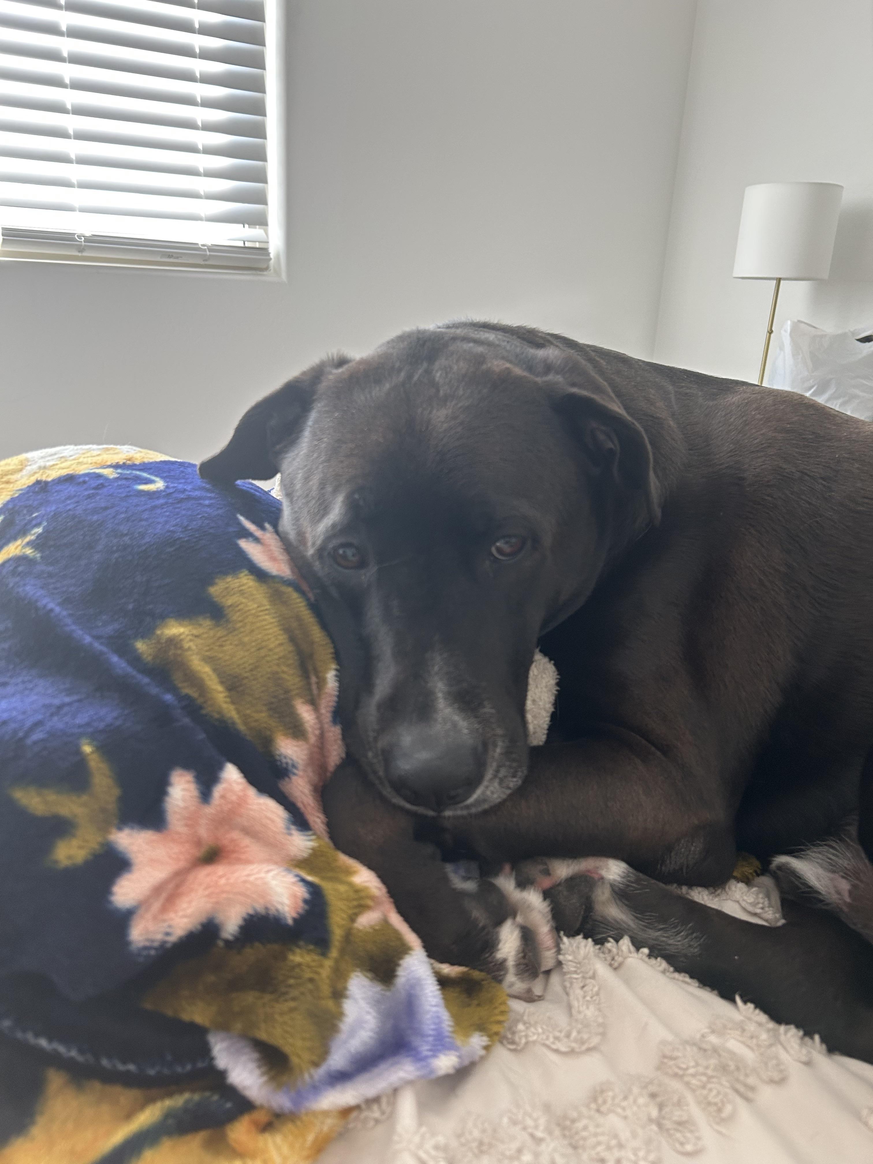 Mom got the vacuum out… | Scrolller