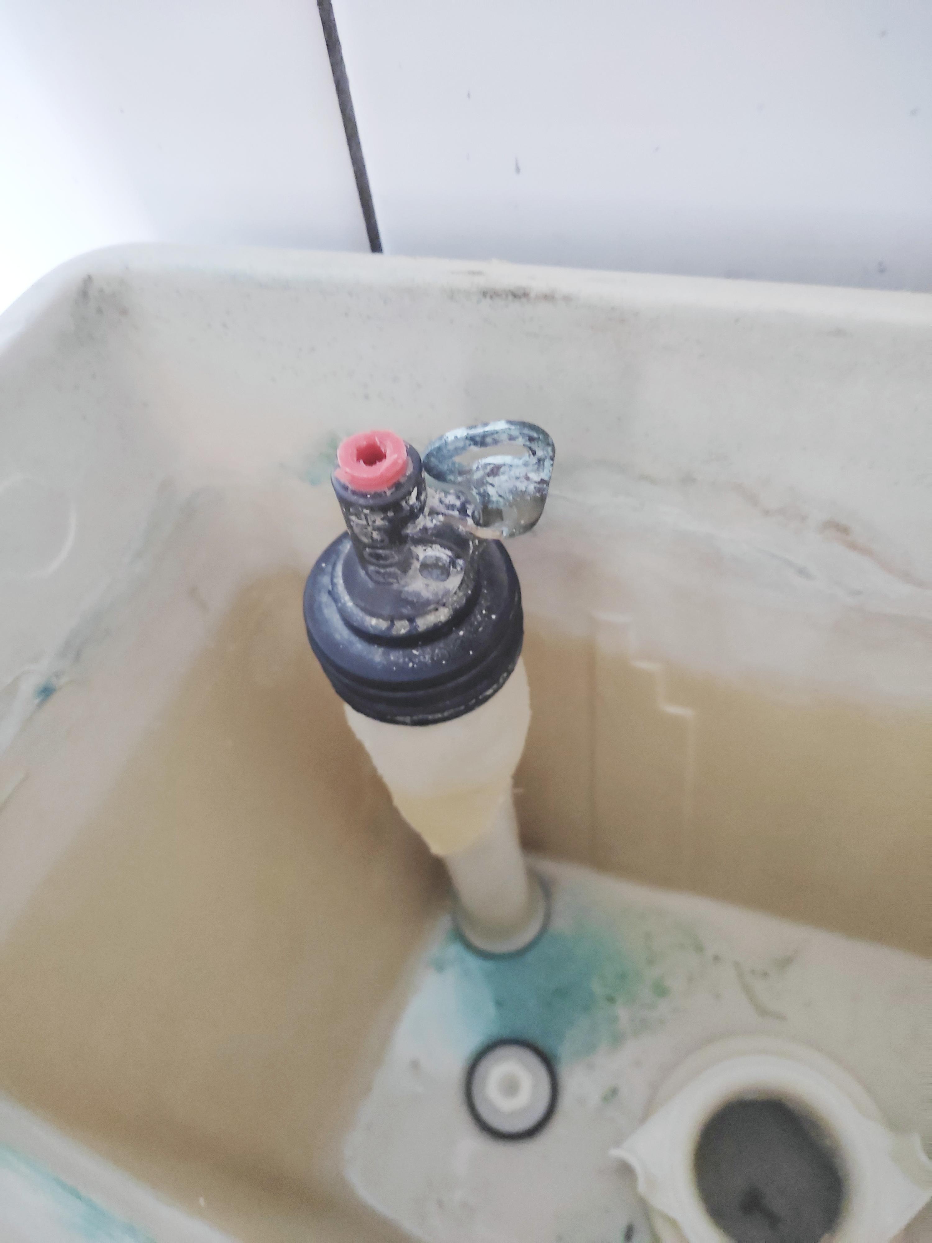 Difficulty removing old toilet fill valve (bolt is rusted) | Scrolller