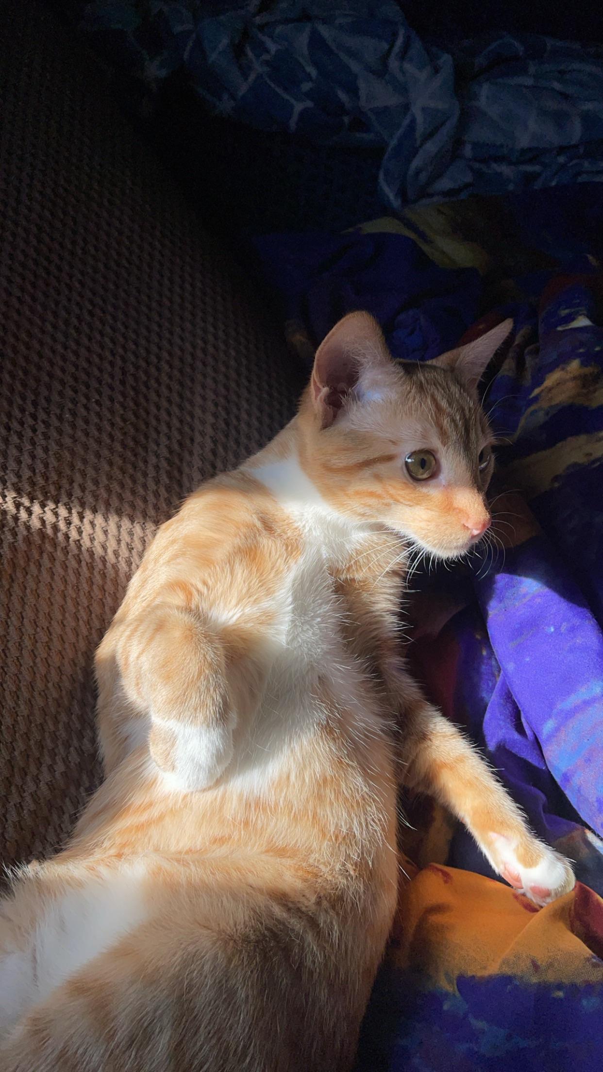 Soop appreciation | Scrolller