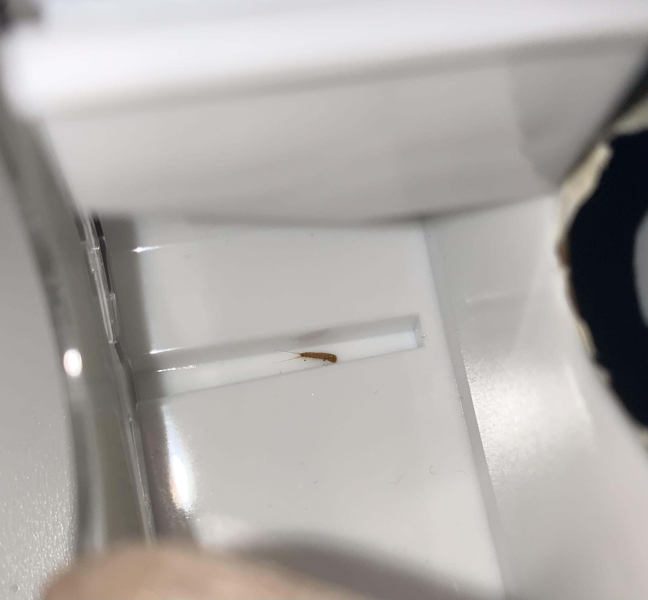 Who’s this fella? | Scrolller