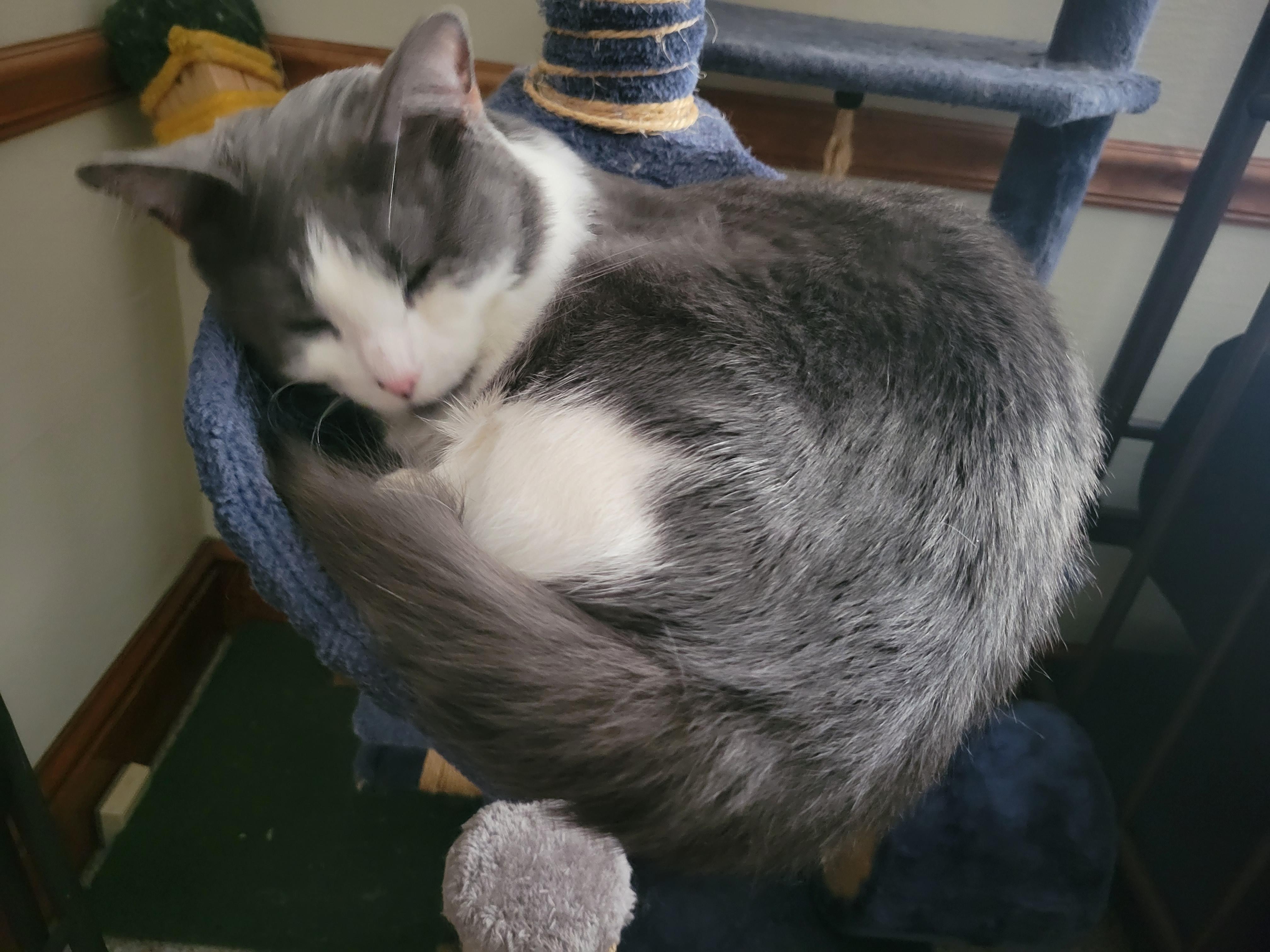 Outgrown the trap | Scrolller