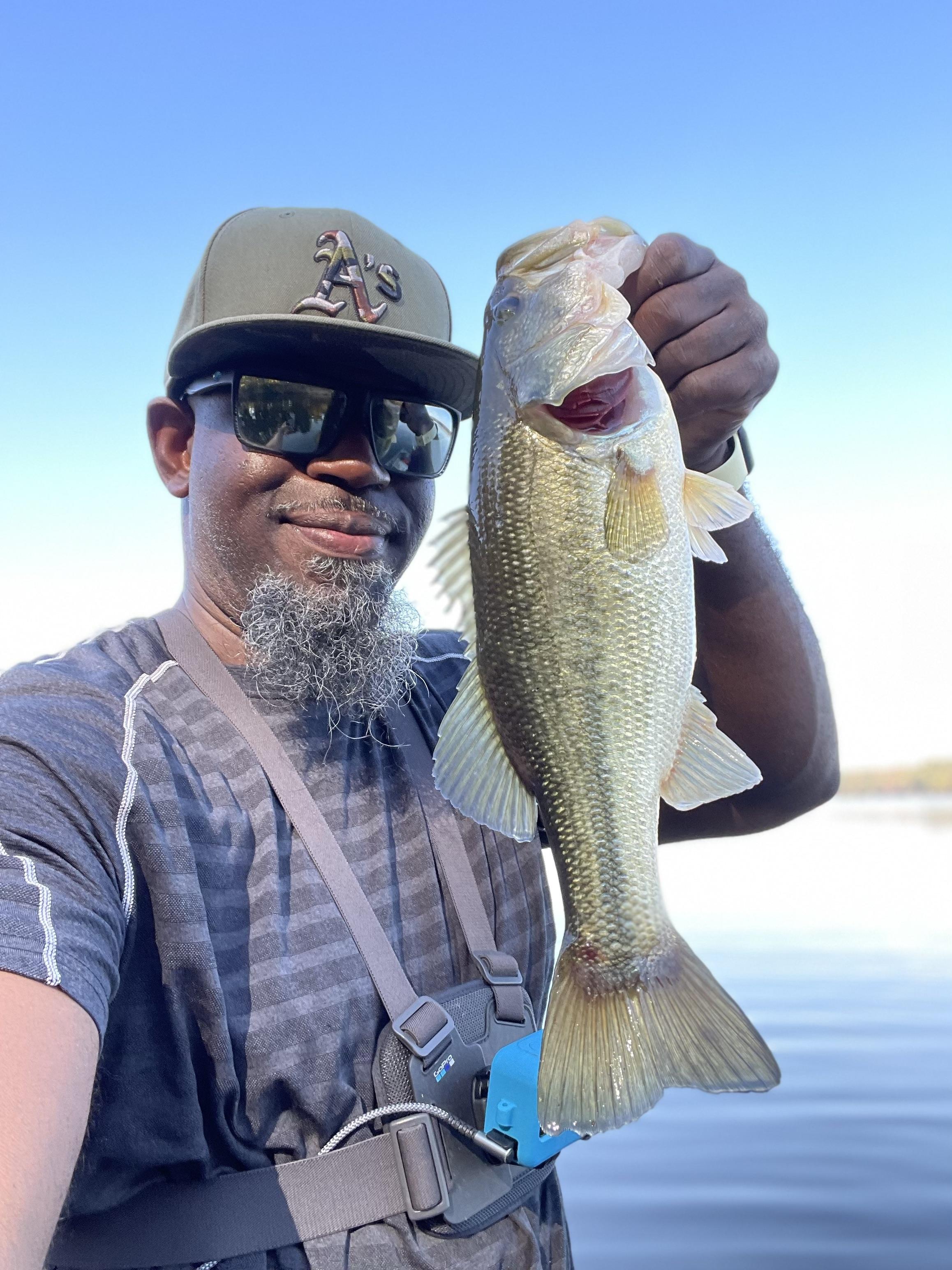 Rage bug for the W | Scrolller