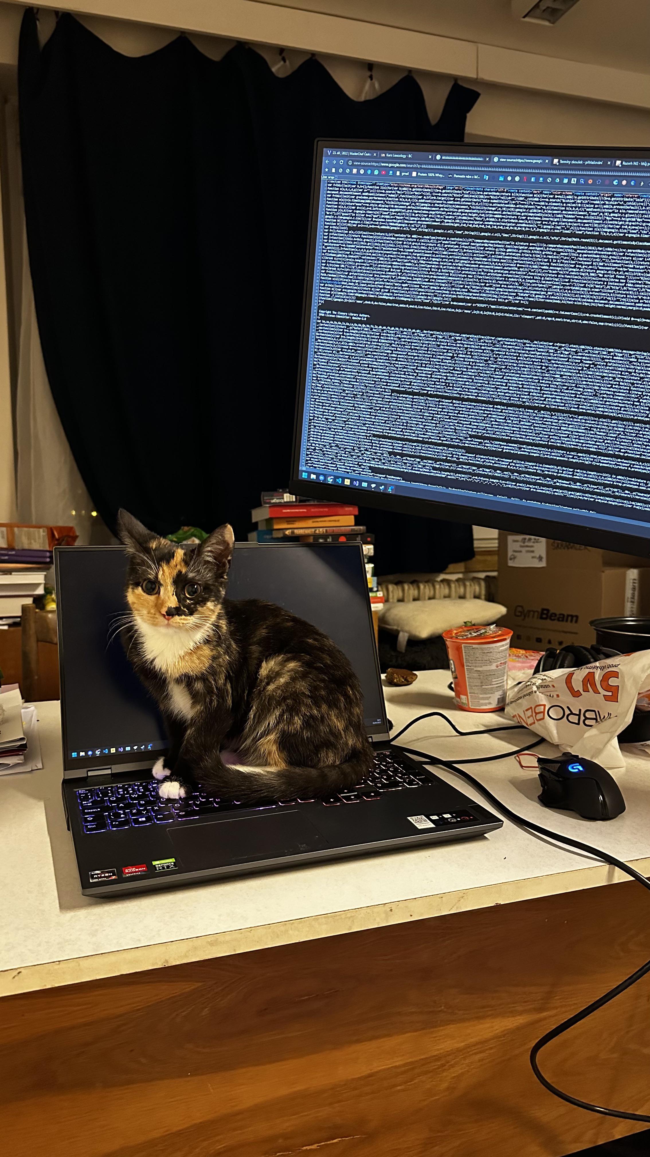 Eevee working | Scrolller