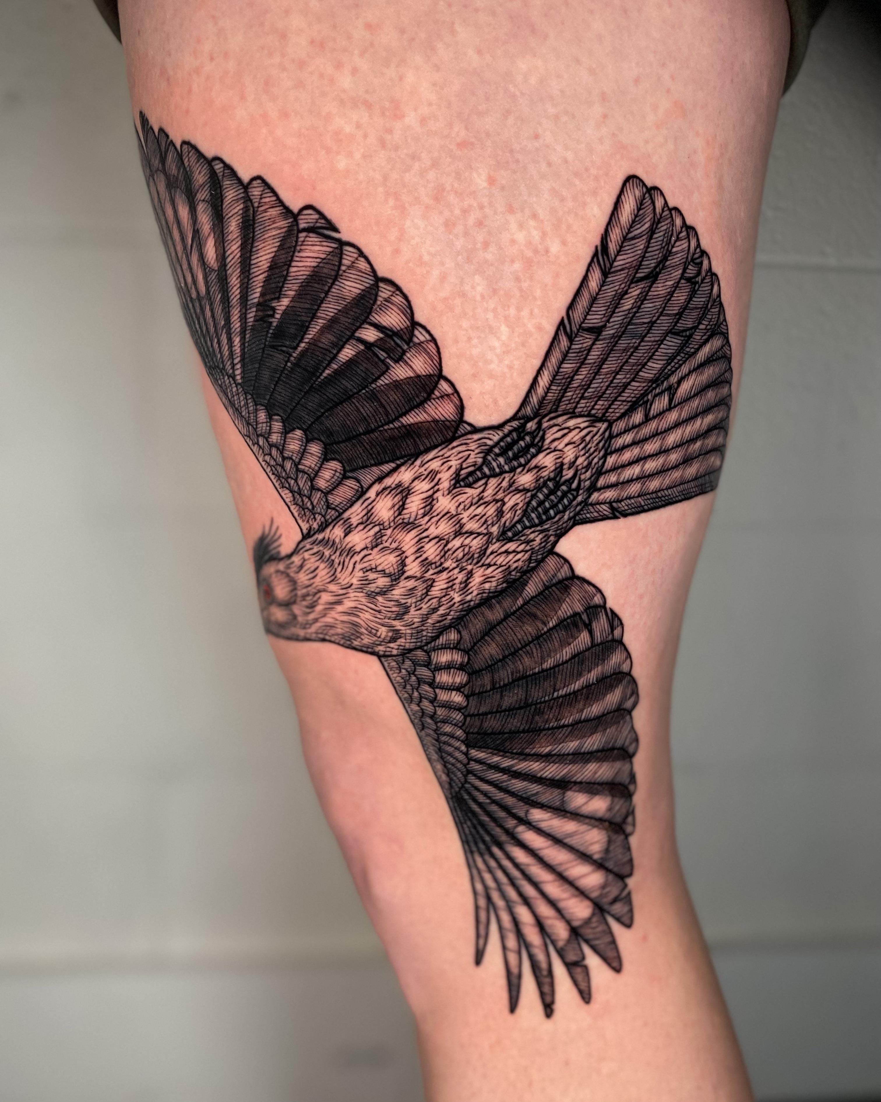 Phainopepla by Zenger Tattoo in Wilmington, NC | Scrolller