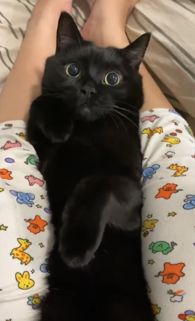 Cant live one day without my dearest boy | Scrolller