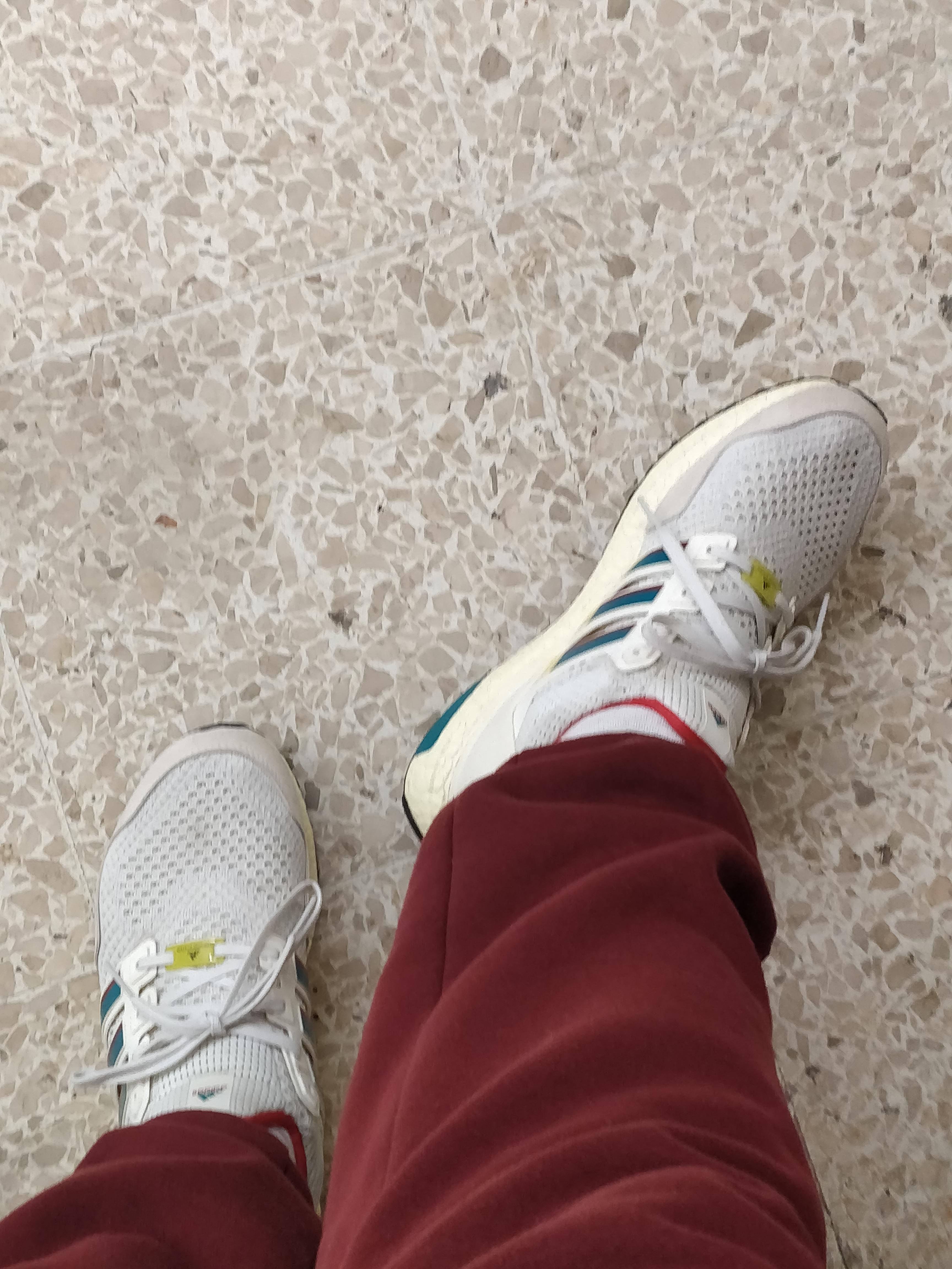 My Spring Rotation | Scrolller