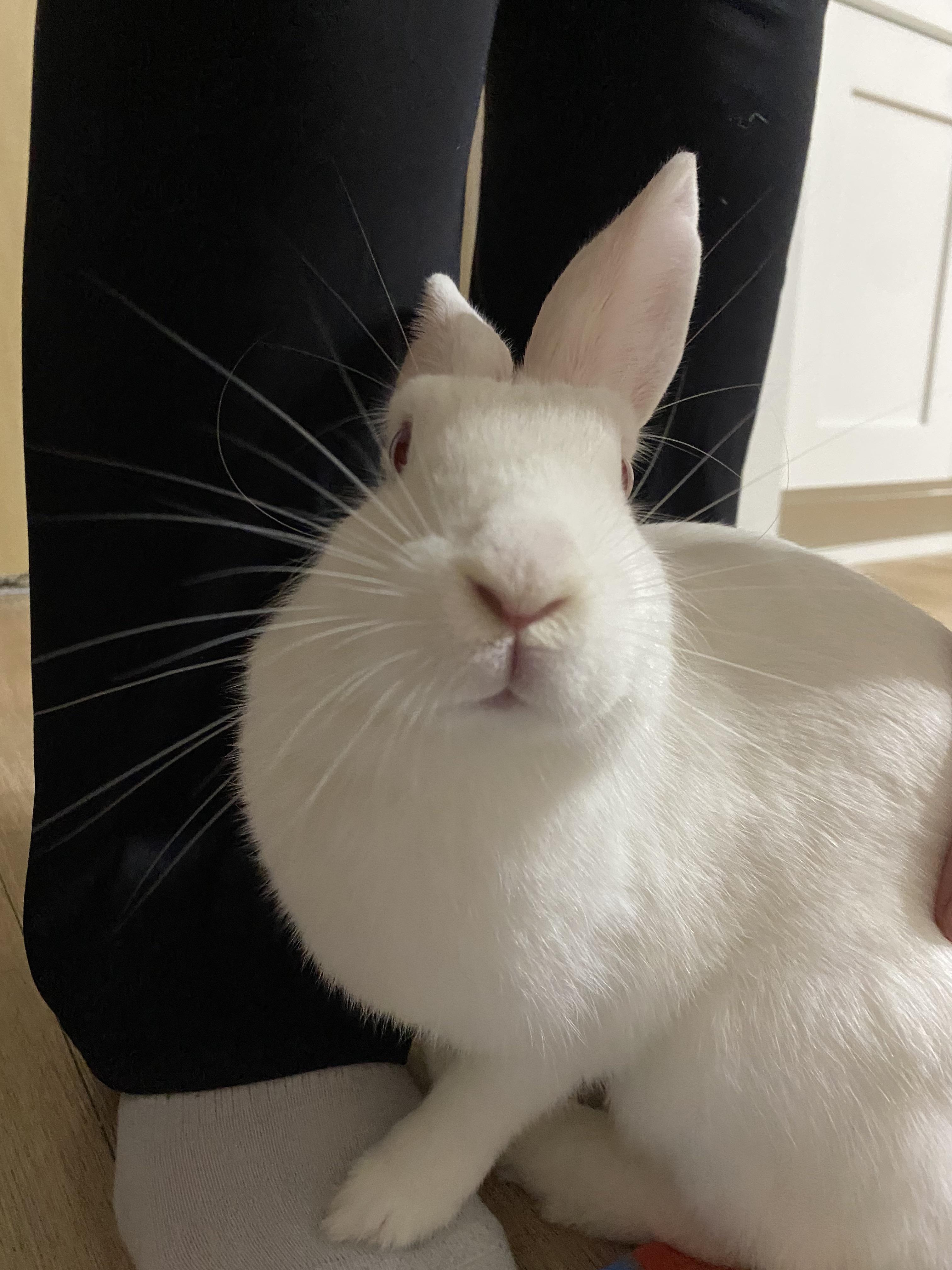 Nicknames! | Scrolller