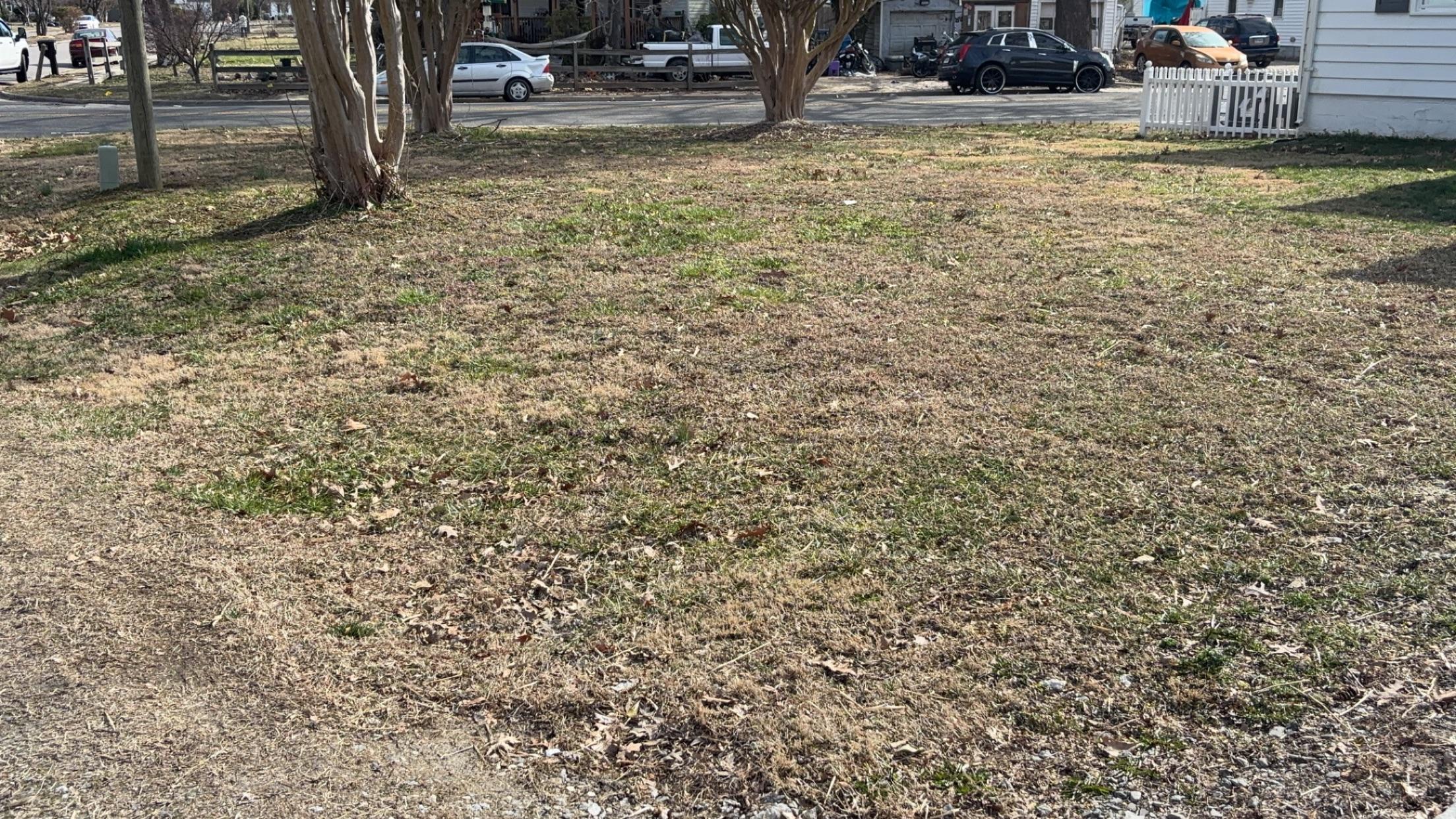 Next step | Scrolller