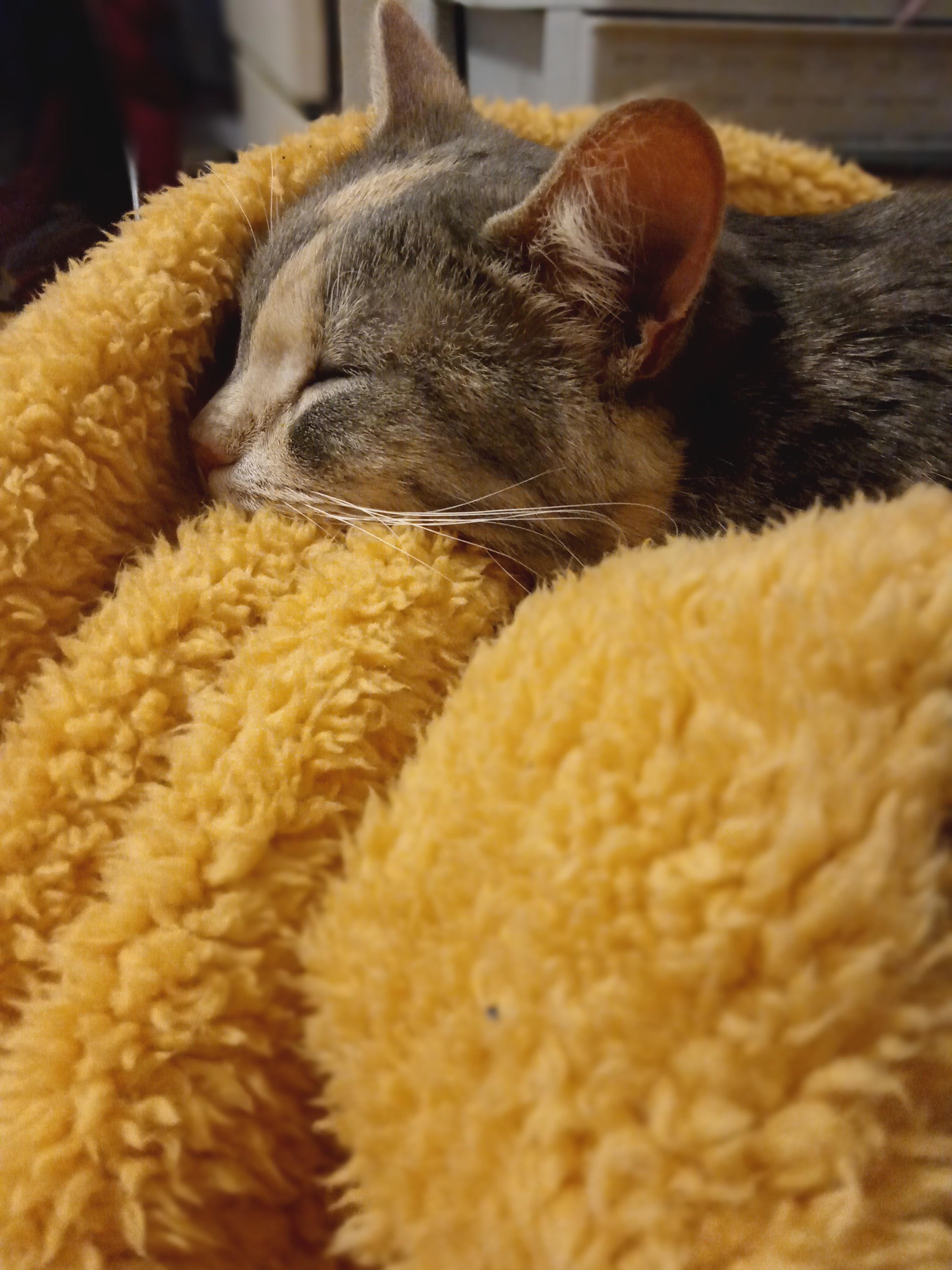 My sweets 💕 | Scrolller