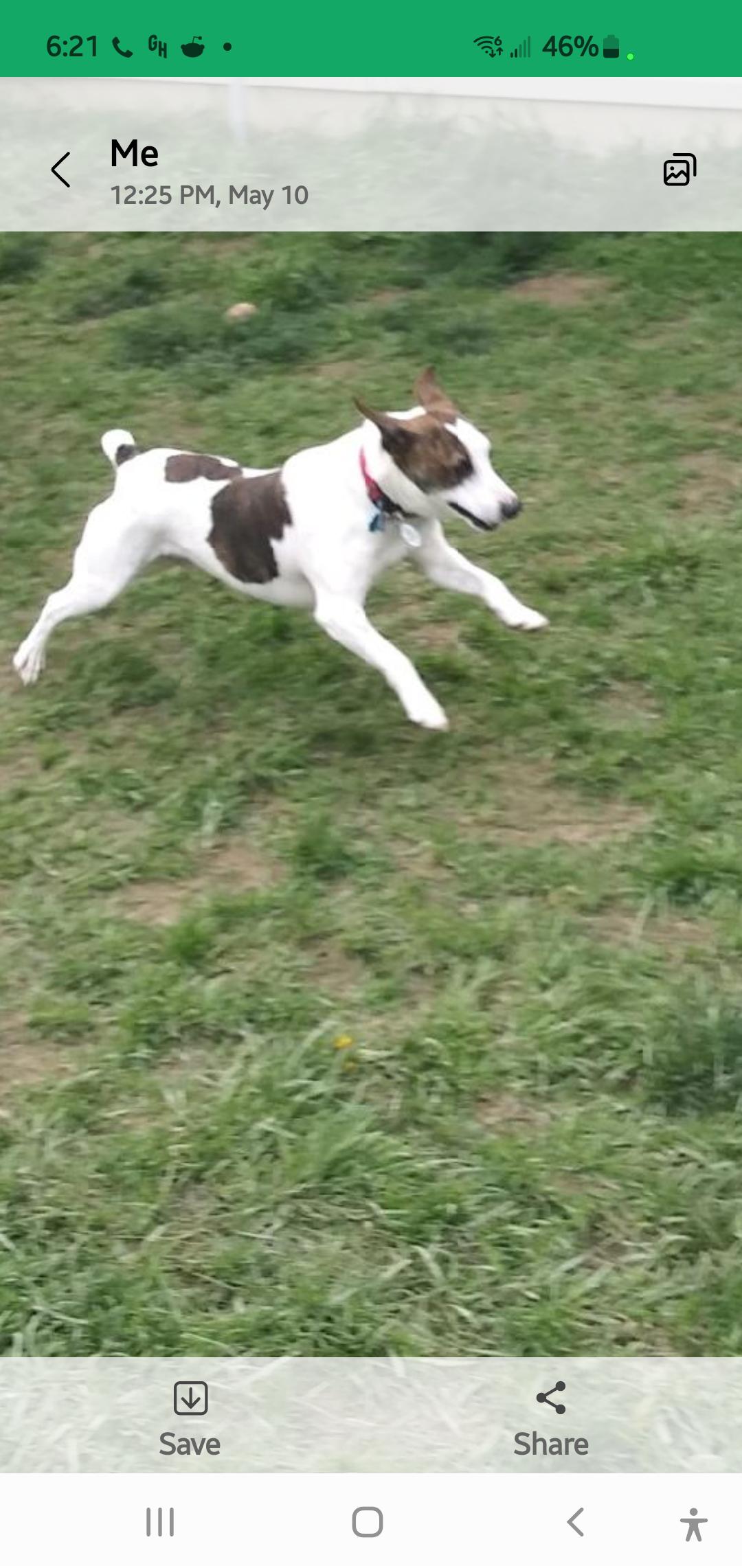 (OC) Hank | Scrolller