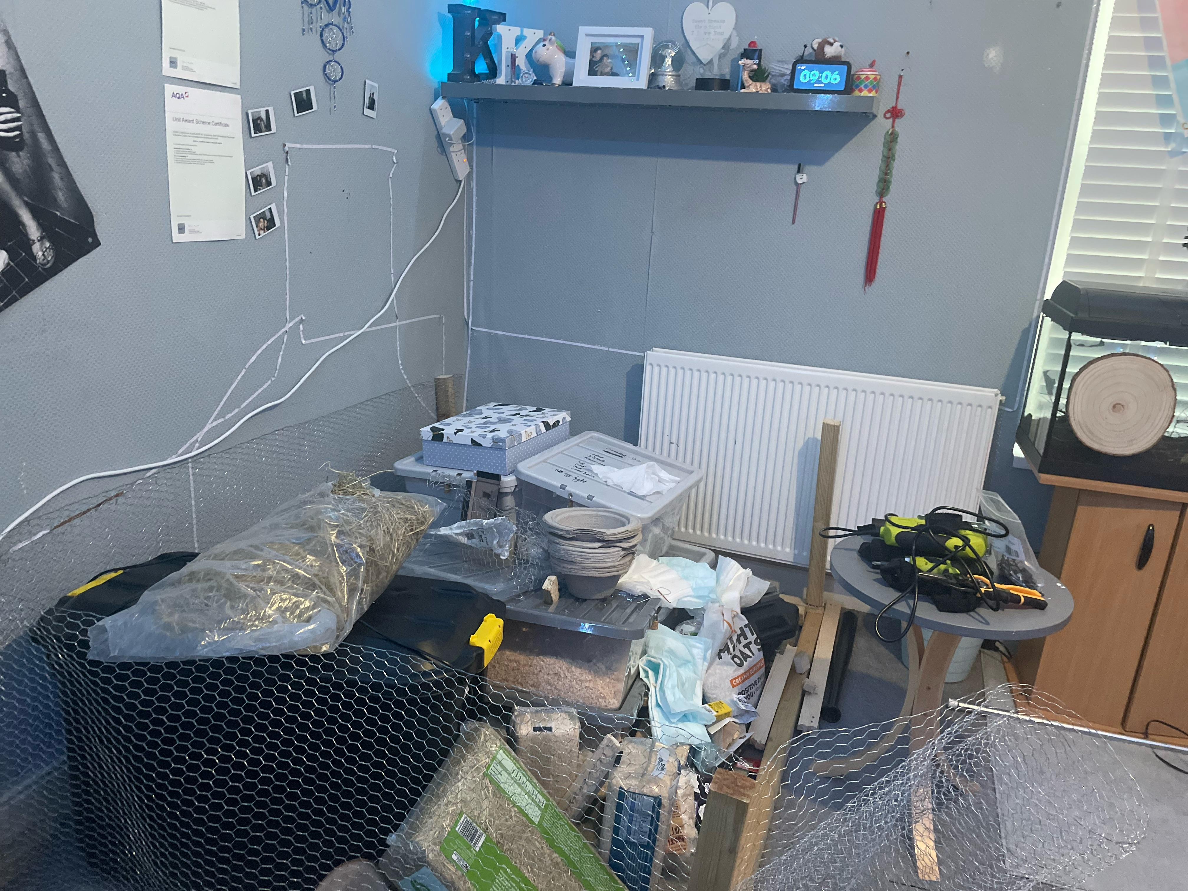 Massive upgrade | Scrolller