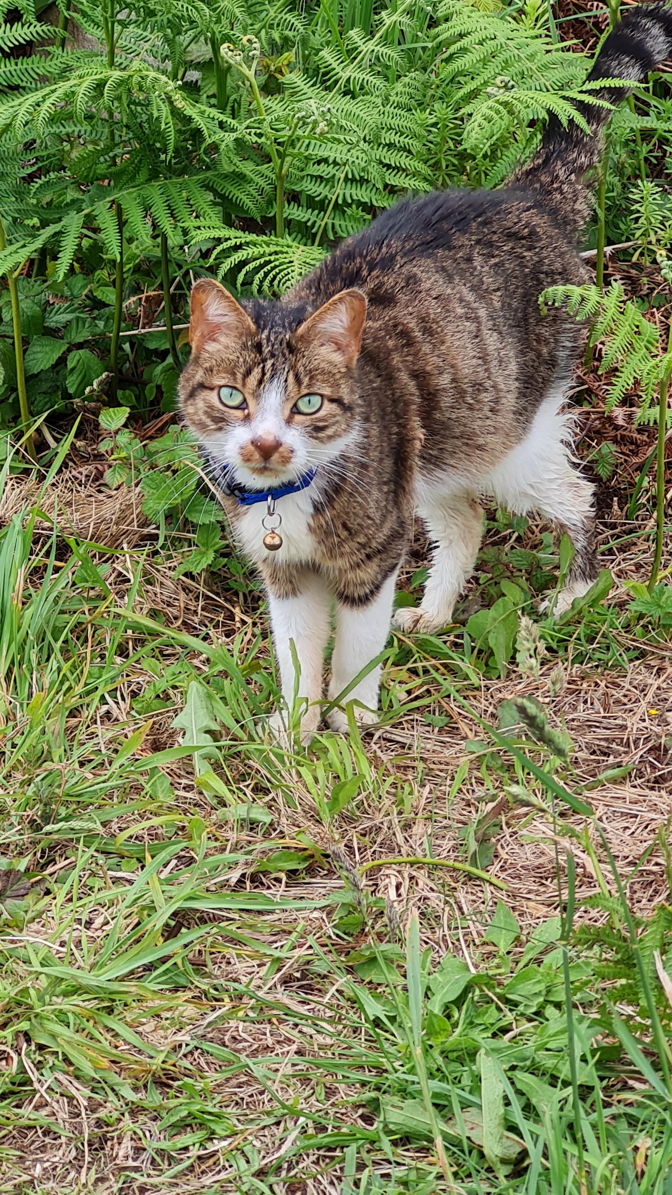 Archie on holiday | Scrolller