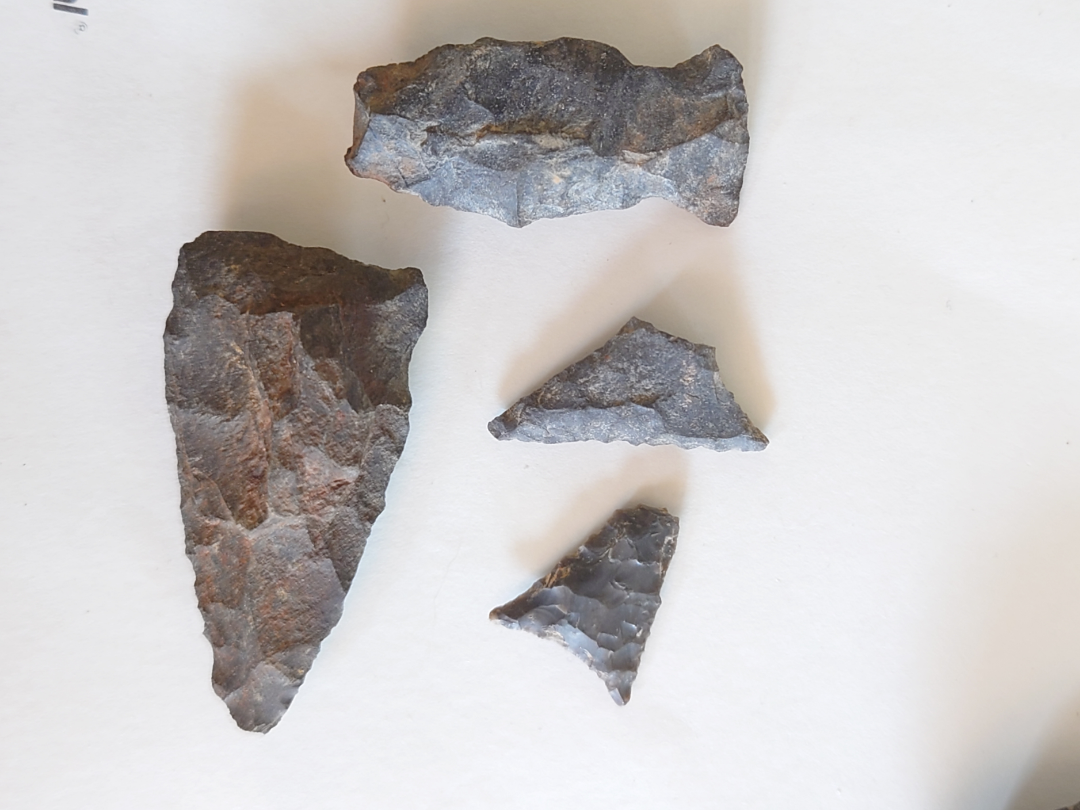 This week's finds | Scrolller