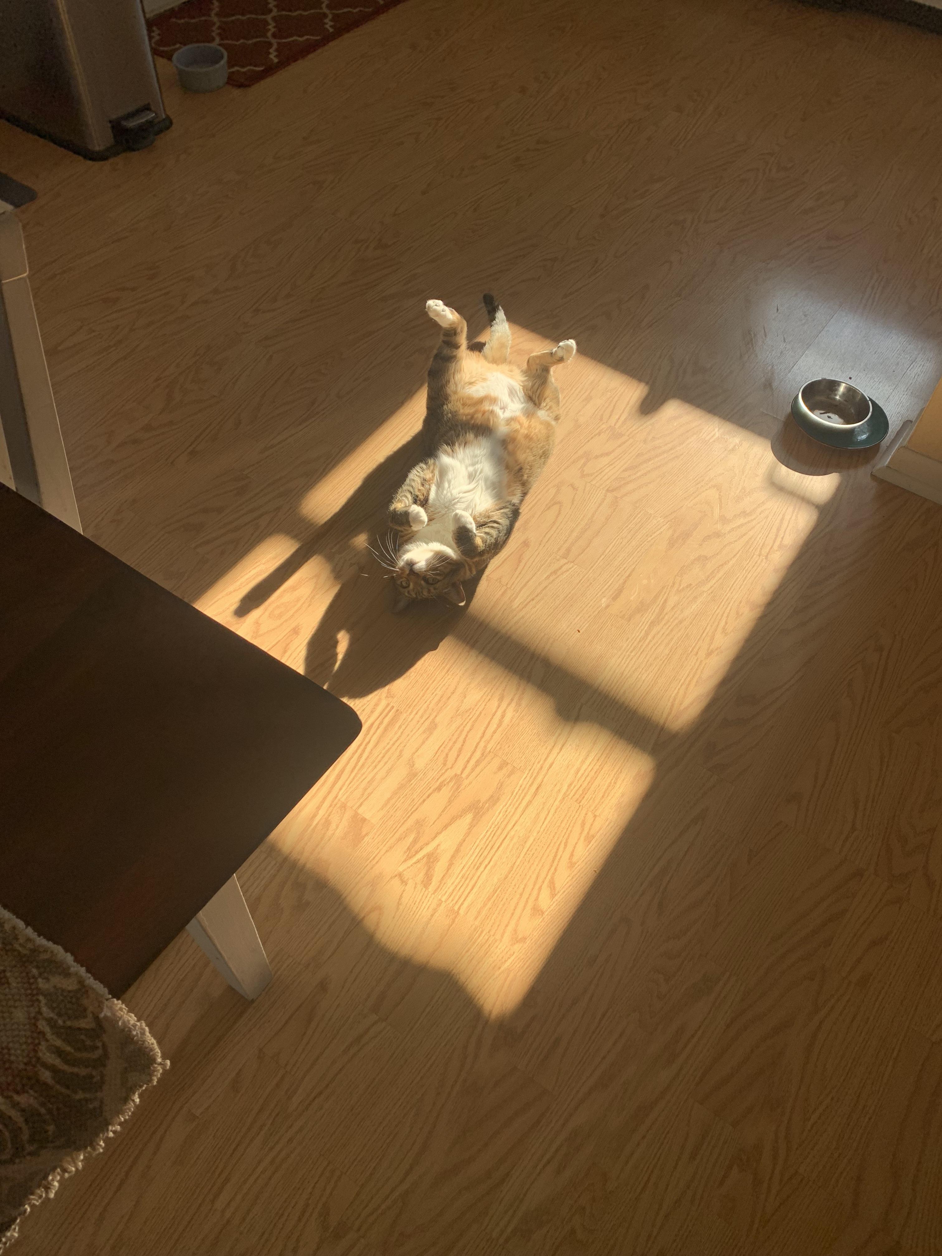 Sunbeam Baby | Scrolller