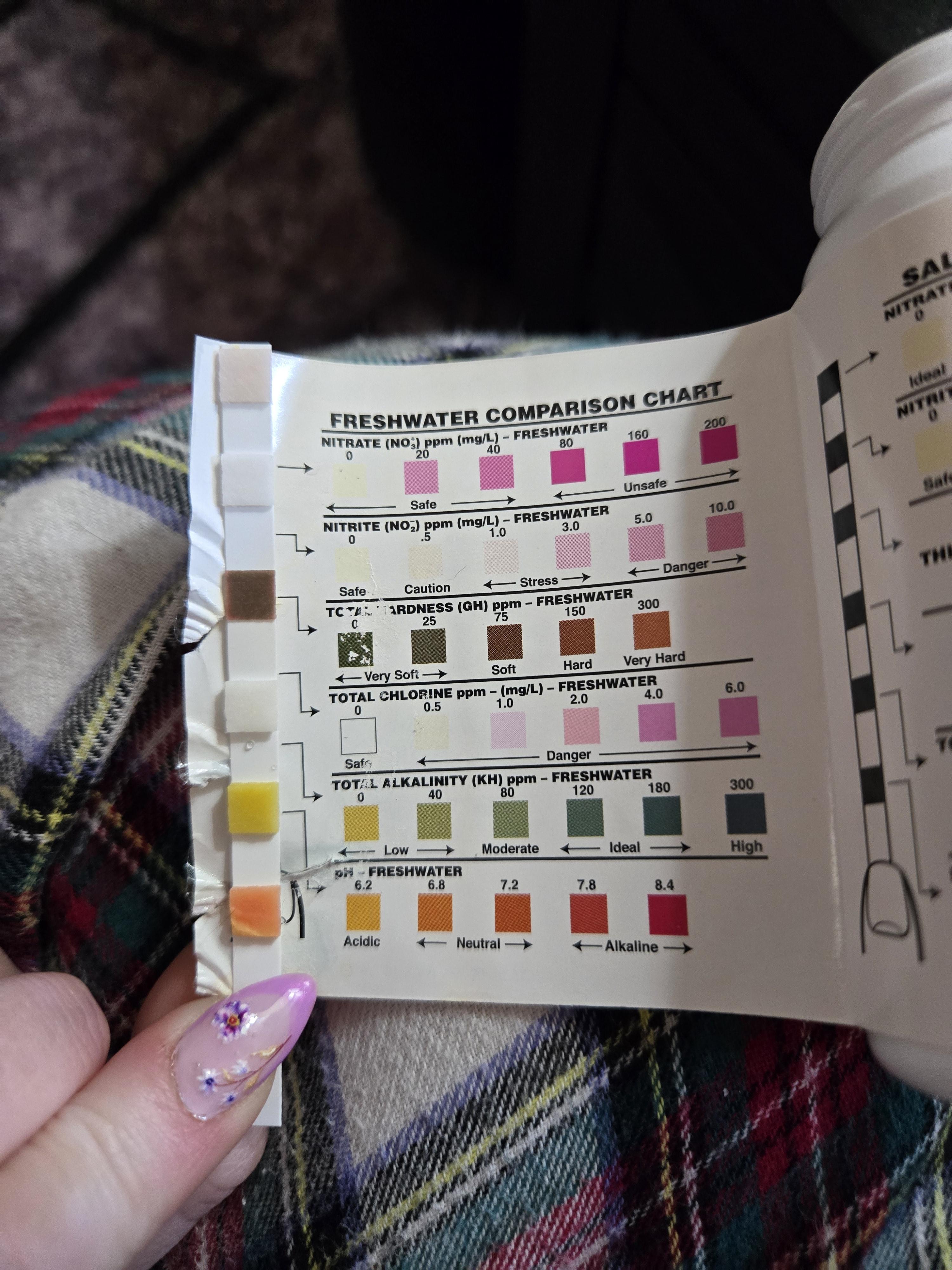 New Betta:different personality or is something wrong? | Scrolller