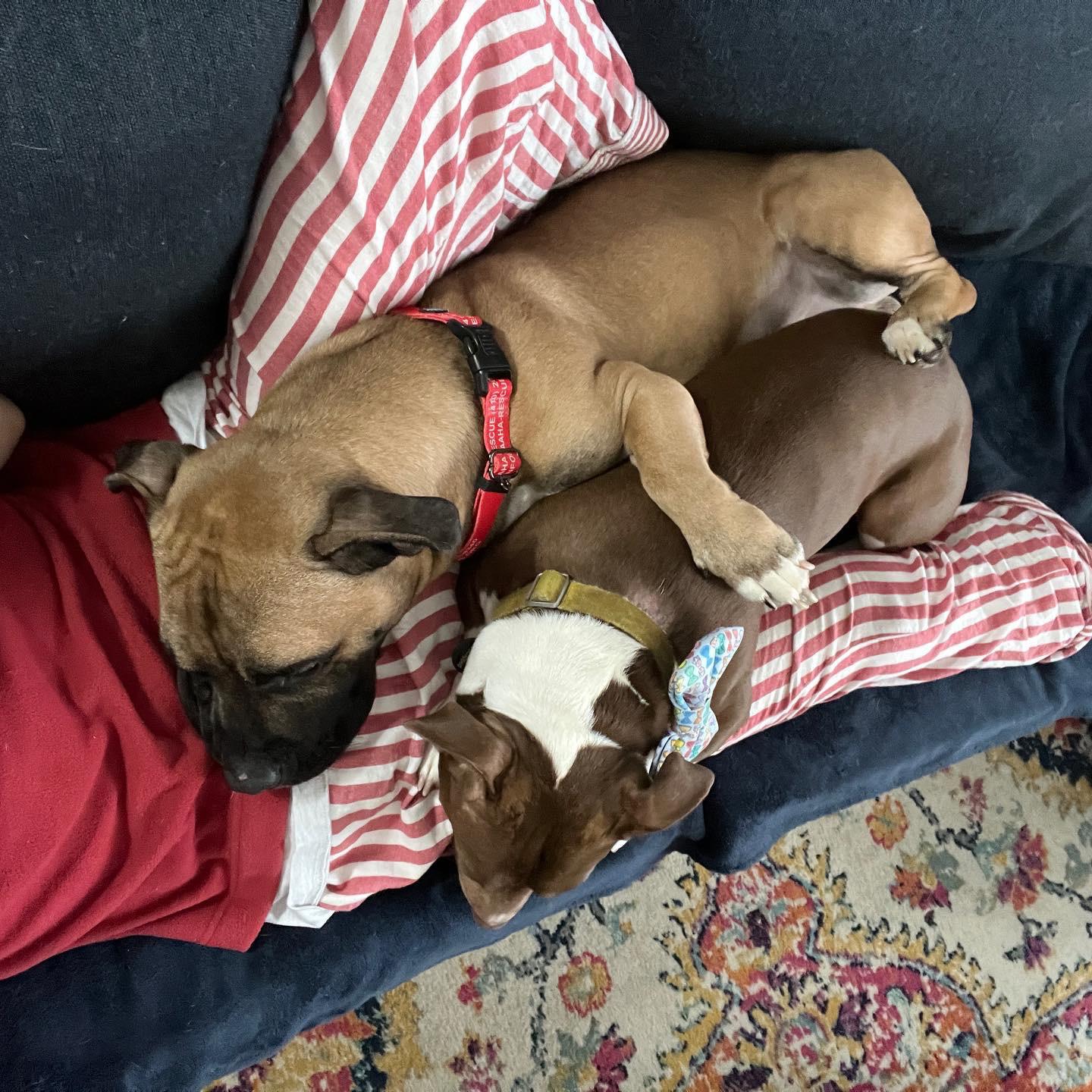 Lowest Foster Boy! | Scrolller