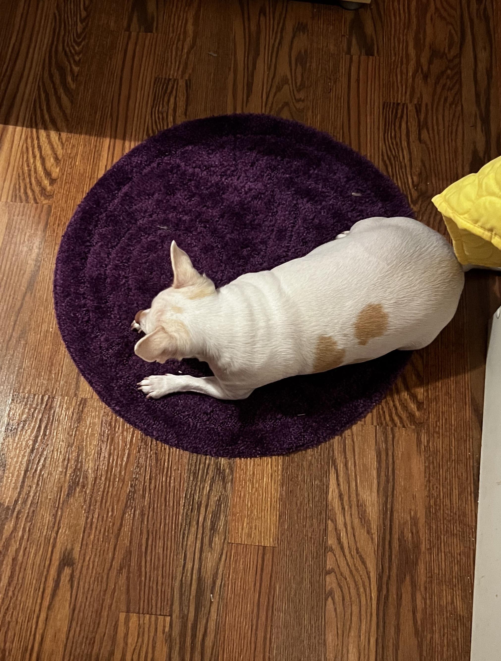 My sister Aurora Ann | Scrolller