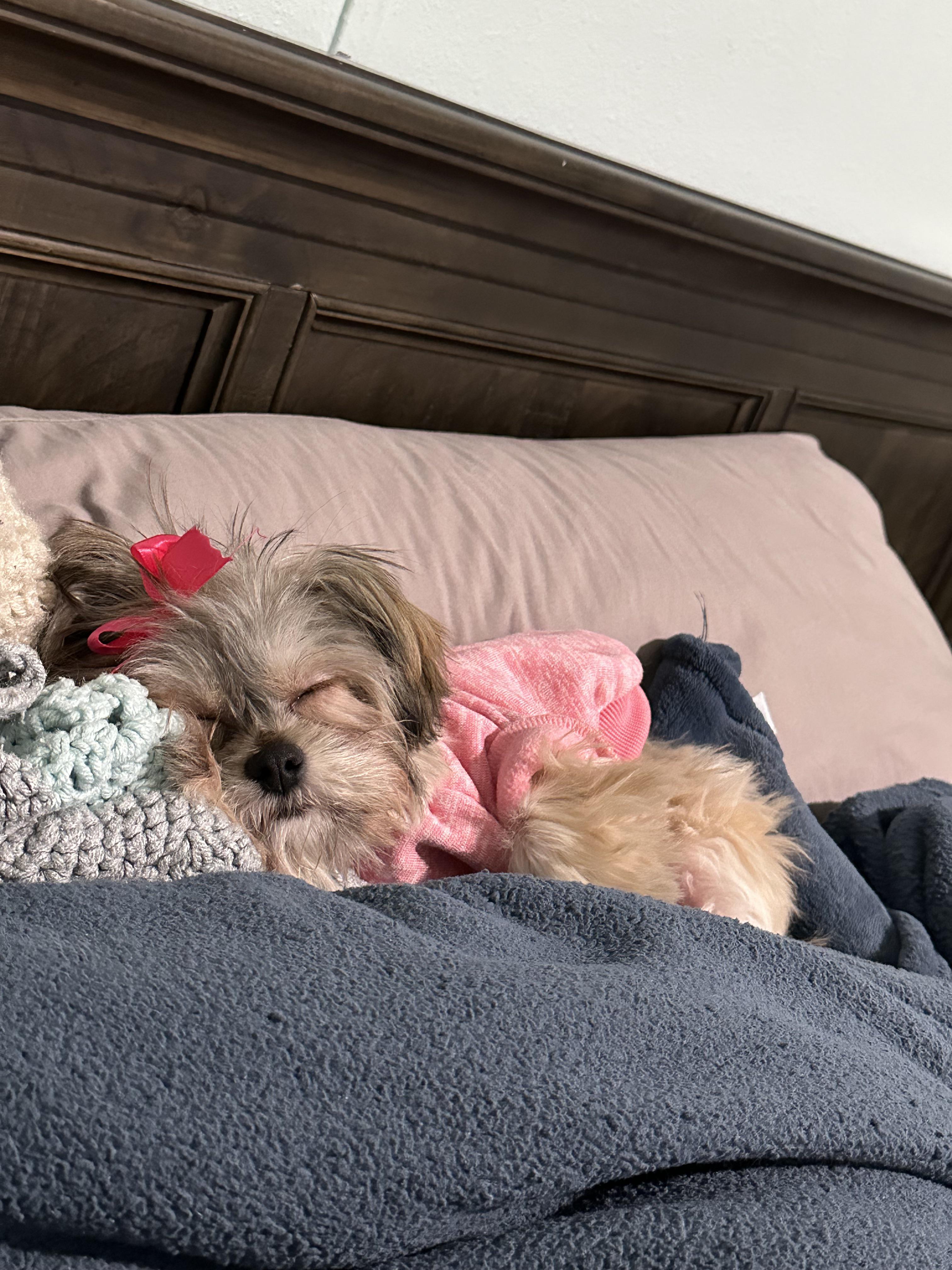 This my baby her name is Buttons | Scrolller