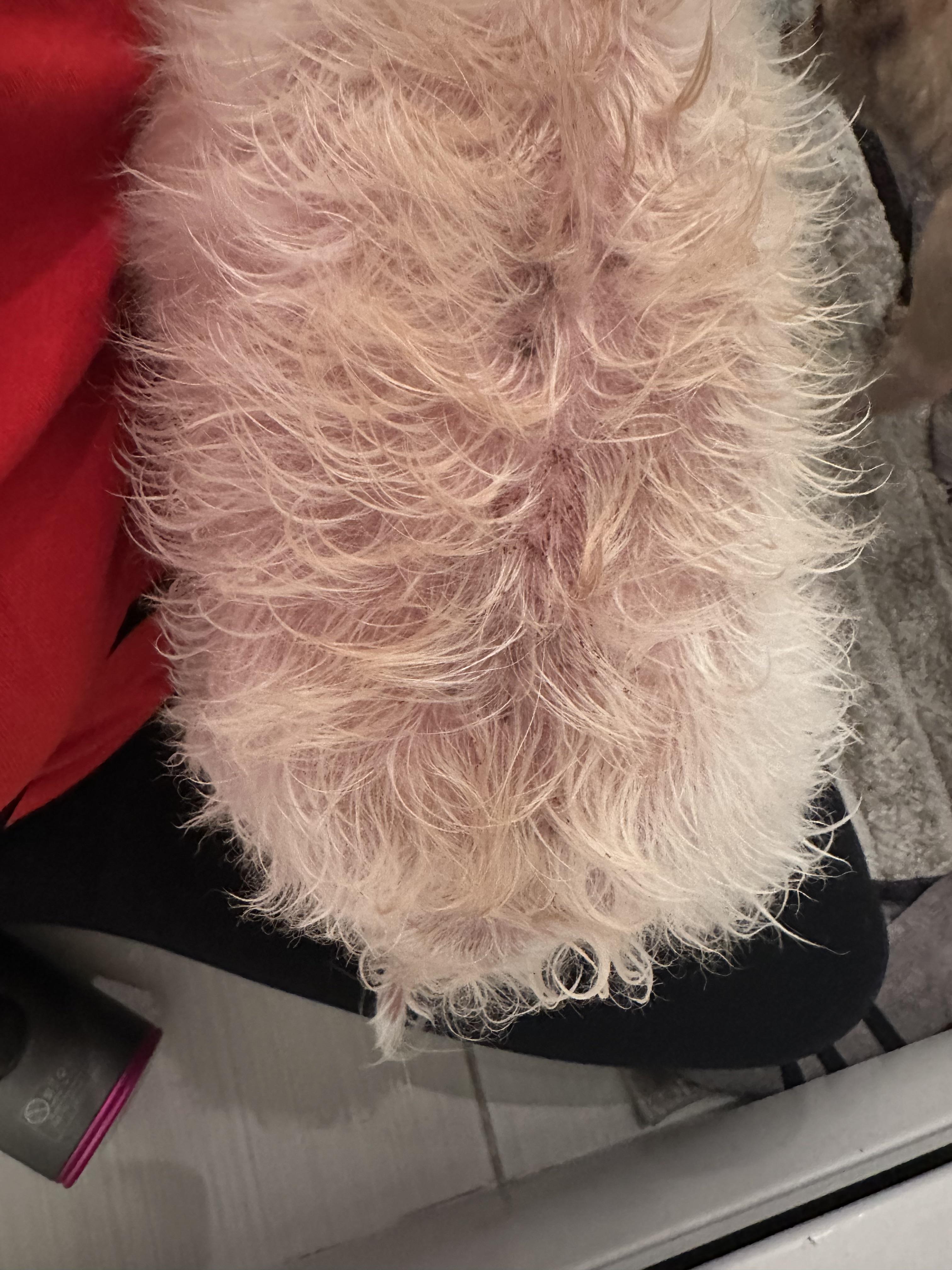 What are these flaky scabs? | Scrolller