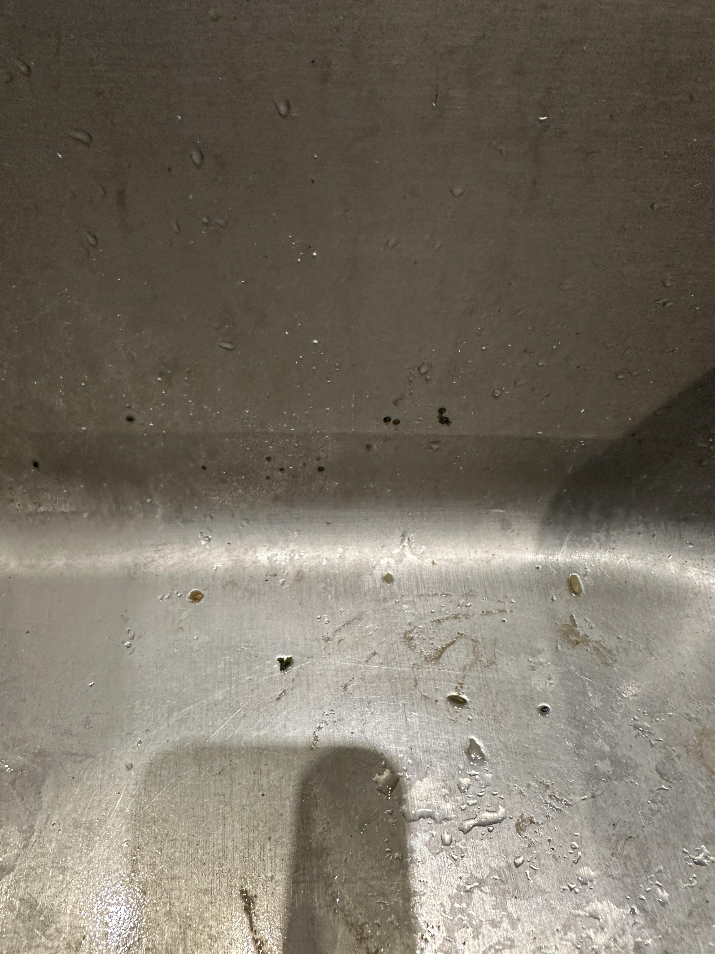 Is this black mold in my kitchen sink? | Scrolller