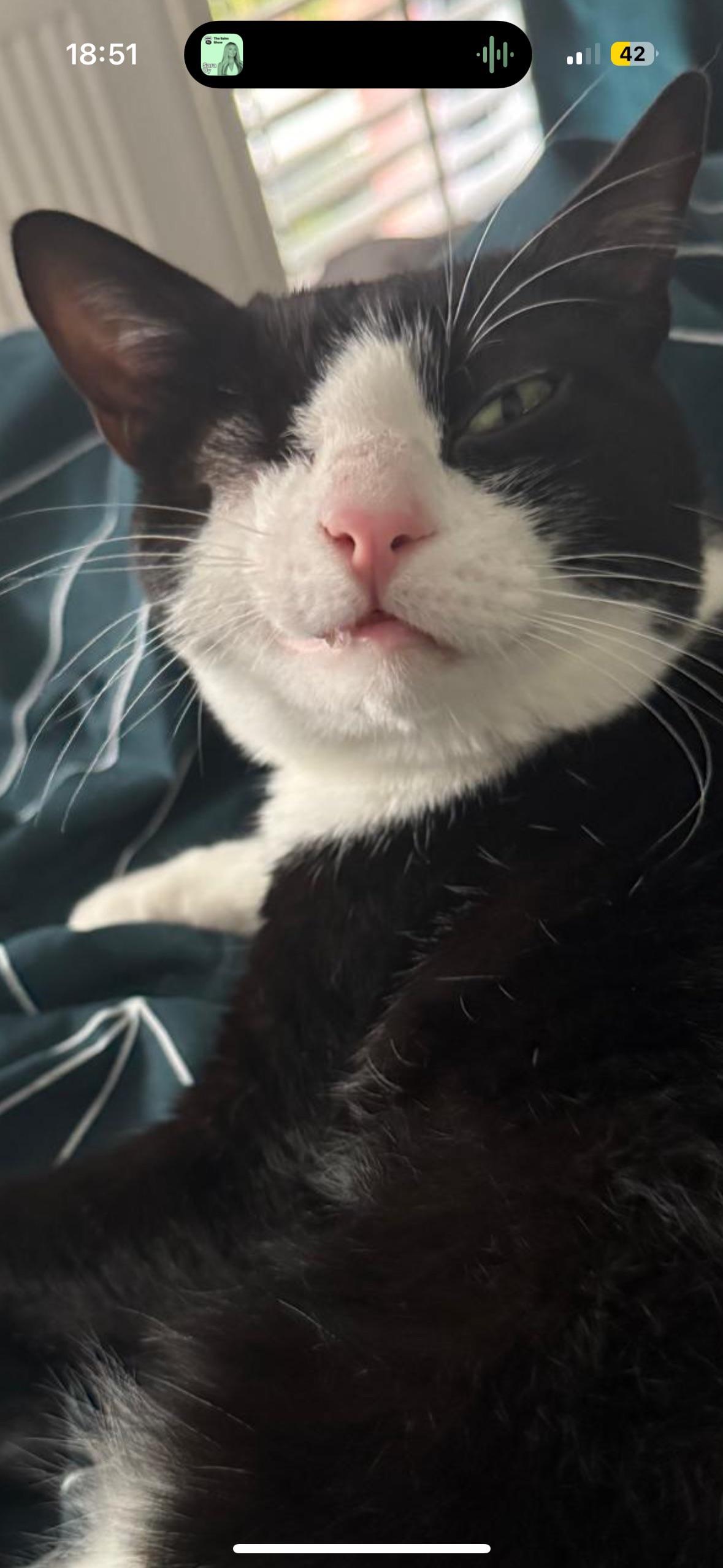 Show me your derpy guys | Scrolller