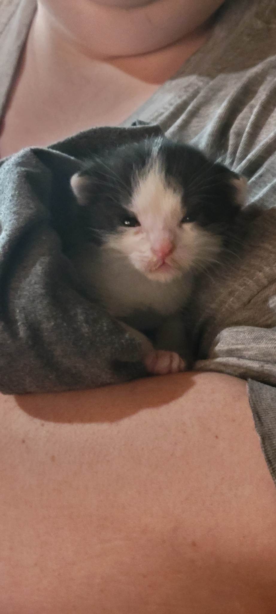 Our new family member | Scrolller