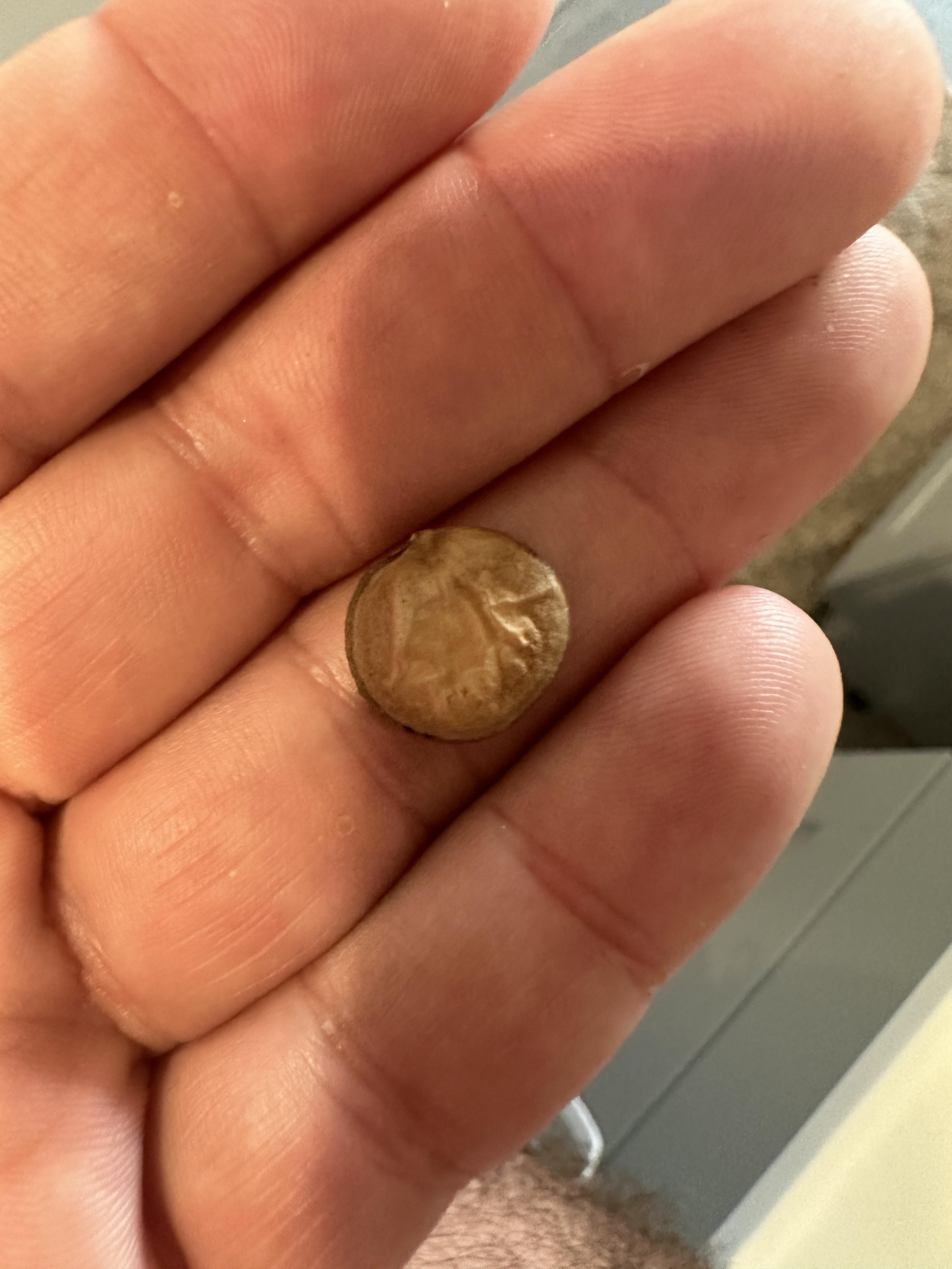 Seed identification please if approved. | Scrolller